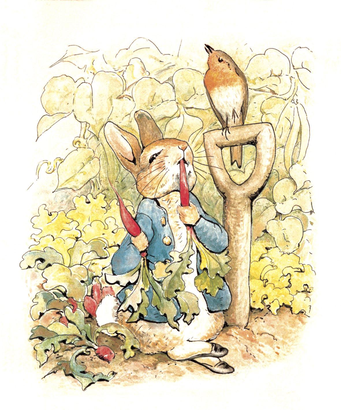 Beatrix Potter Wallpapers - Top Free Beatrix Potter Backgrounds ...