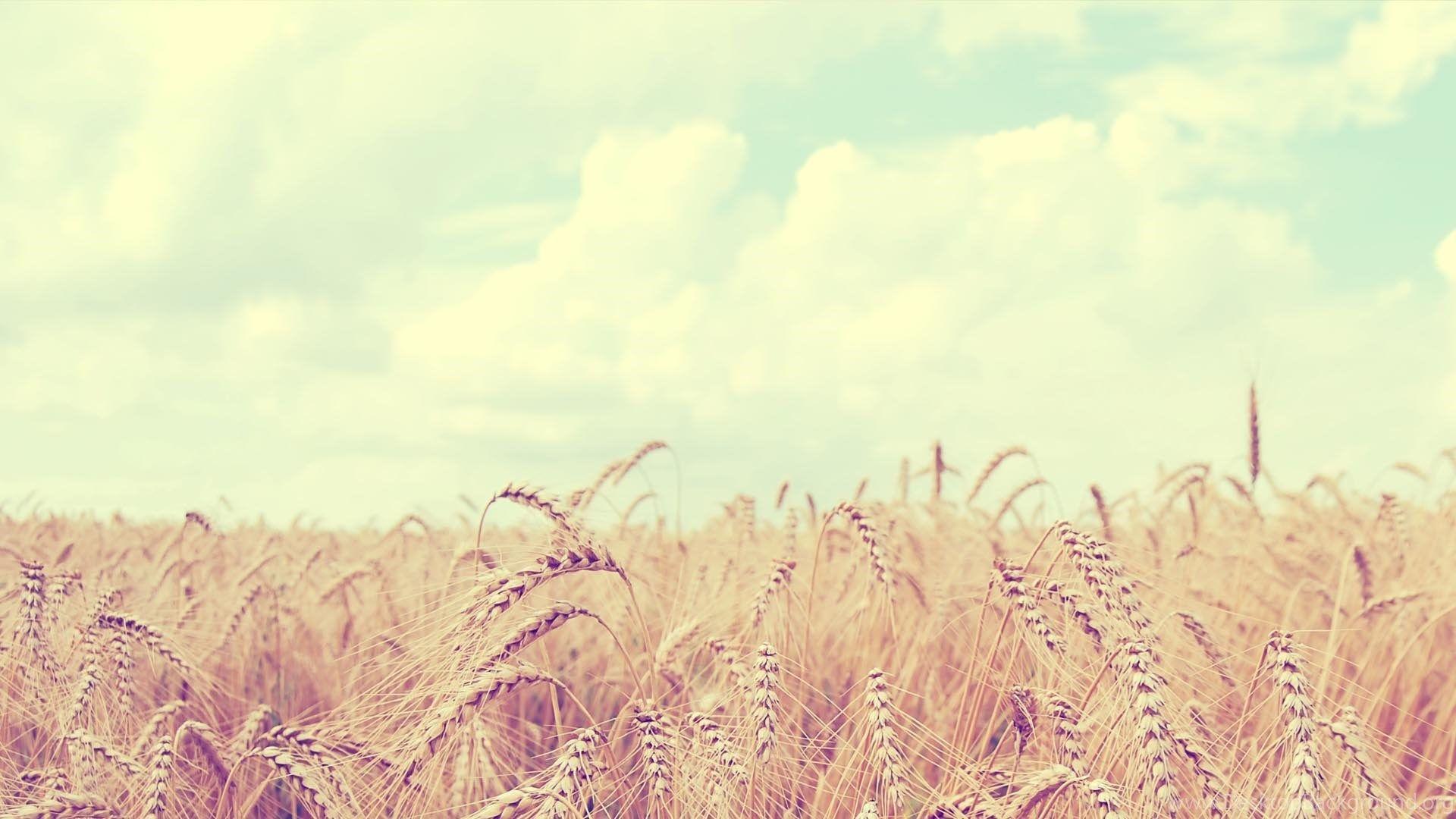 Soft PC Wallpapers - Top Free Soft PC Backgrounds - WallpaperAccess