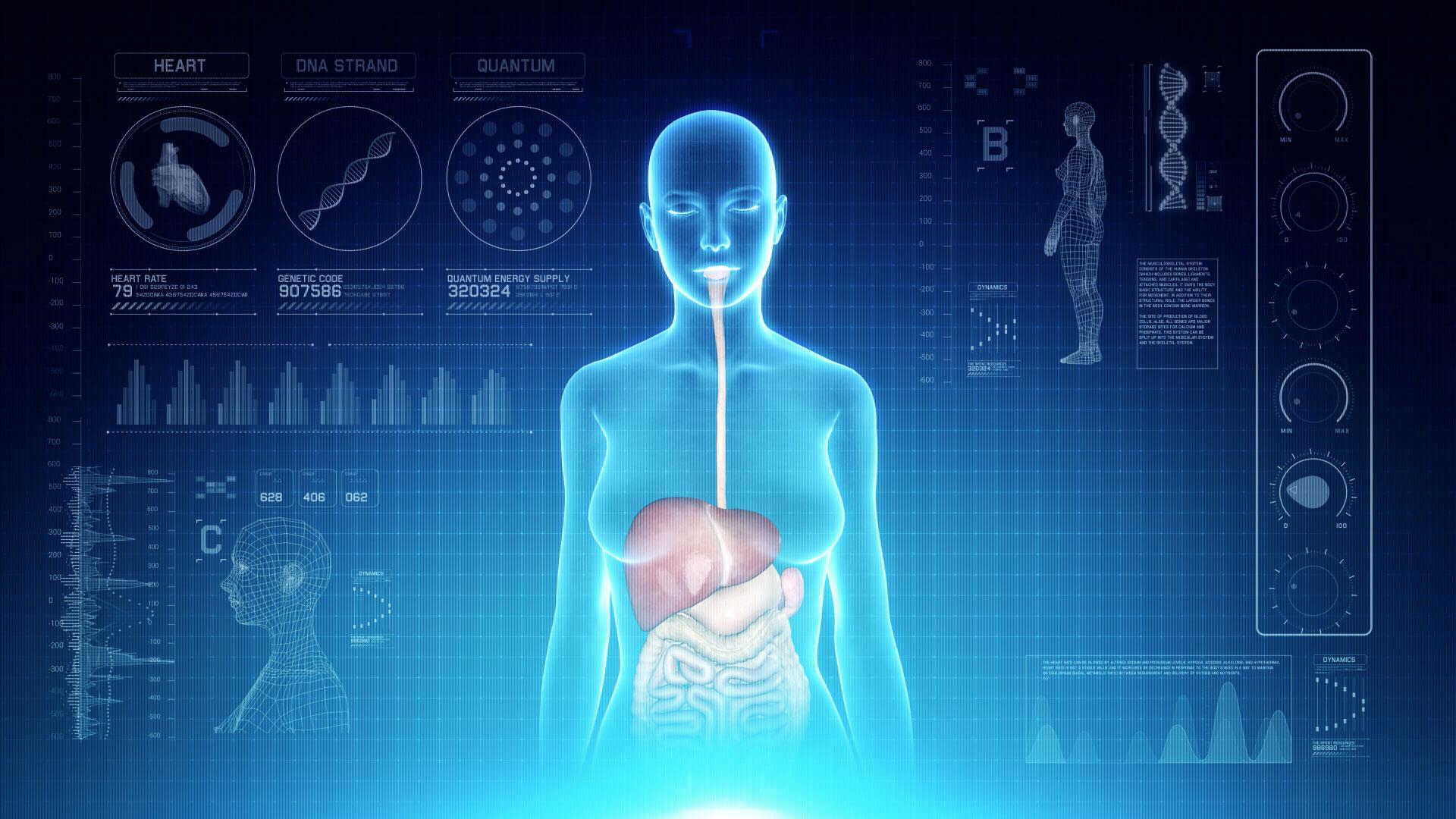 Digestive System Wallpapers - Top Free Digestive System Backgrounds ...