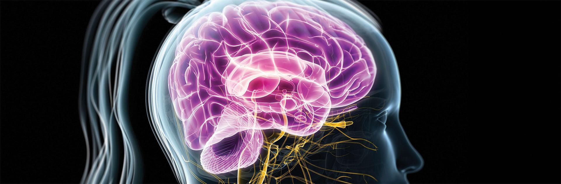 Digestive System Wallpapers - Top Free Digestive System Backgrounds ...