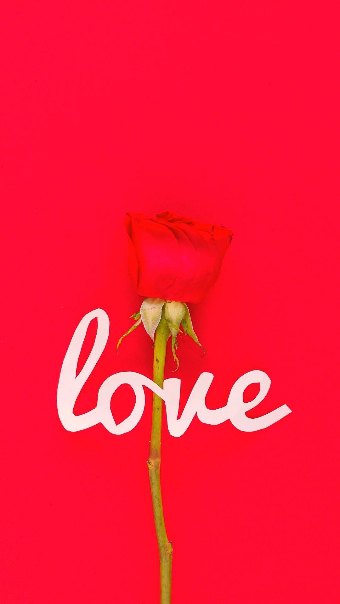 8K Love Wallpapers - Top Free 8K Love Backgrounds - WallpaperAccess
