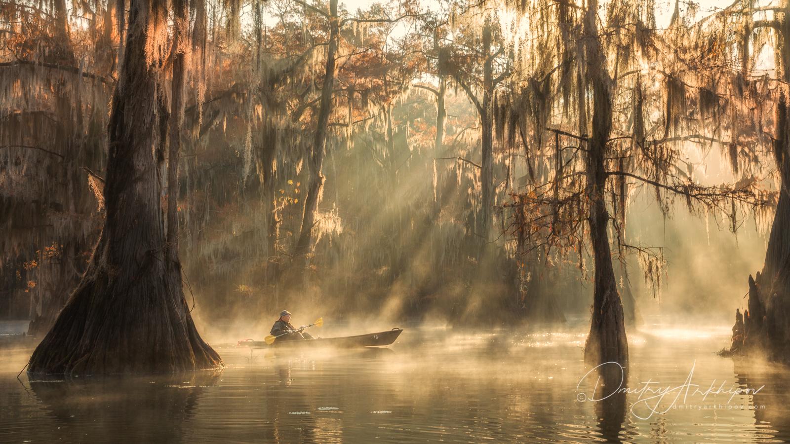 Louisiana Swamp Wallpapers - Top Free Louisiana Swamp Backgrounds ...