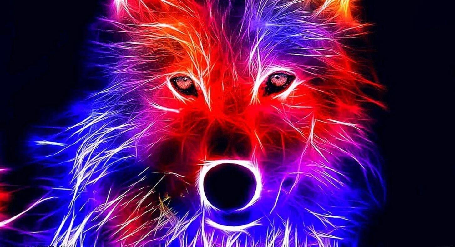 Red Wolf HD Wallpapers - Top Free Red Wolf HD Backgrounds - WallpaperAccess