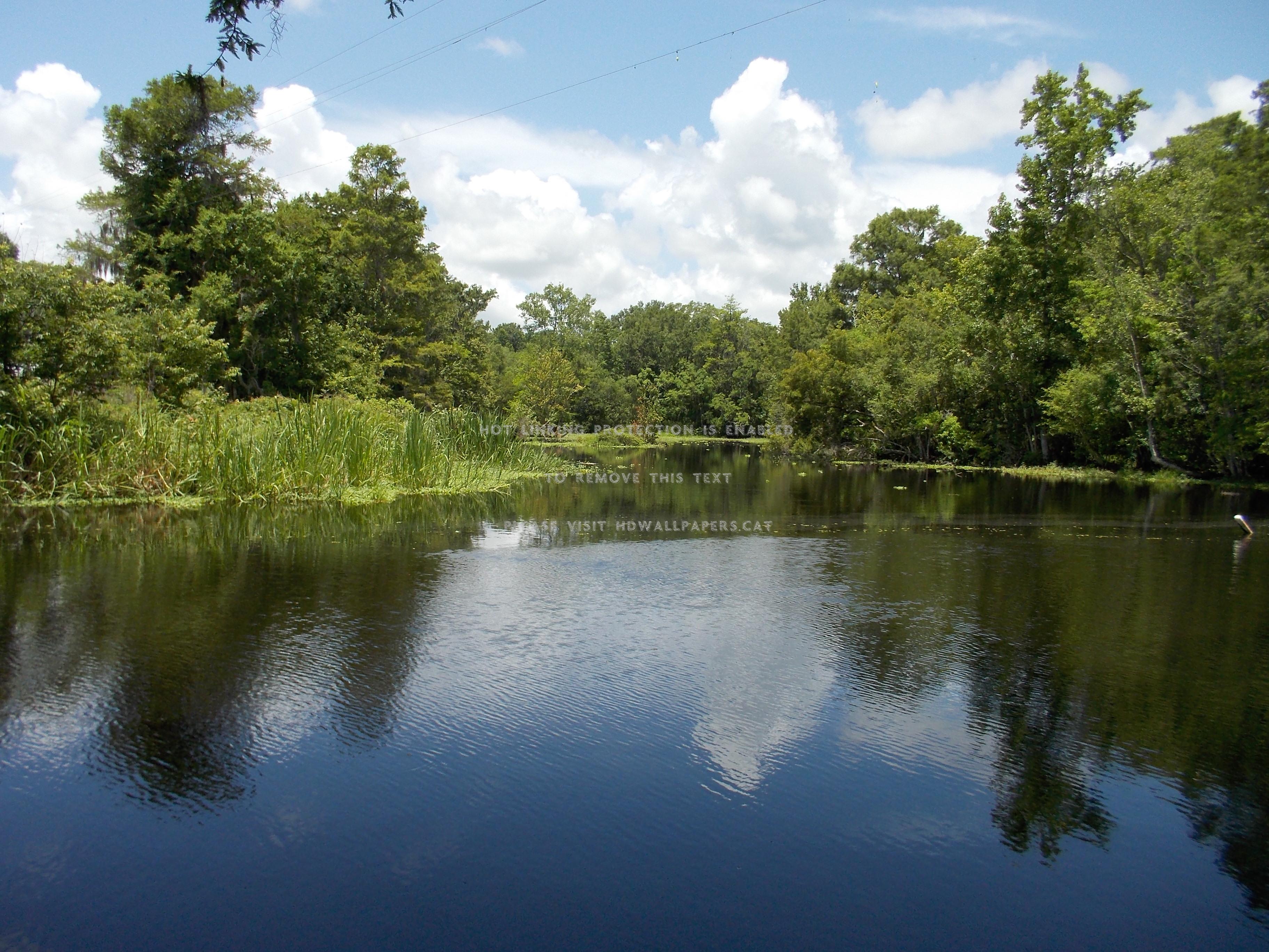Louisiana Swamp Wallpapers - Top Free Louisiana Swamp Backgrounds ...