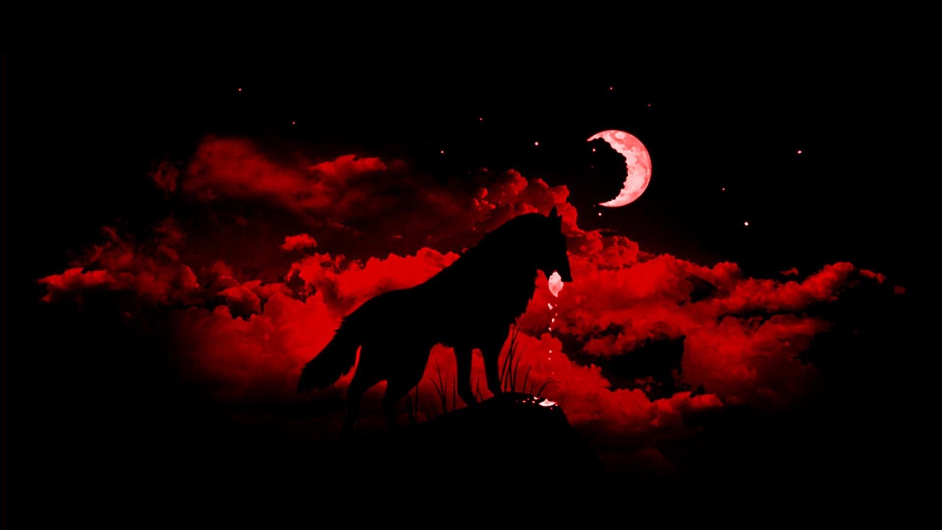 Red Wolf HD Wallpapers - Top Free Red Wolf HD Backgrounds - WallpaperAccess