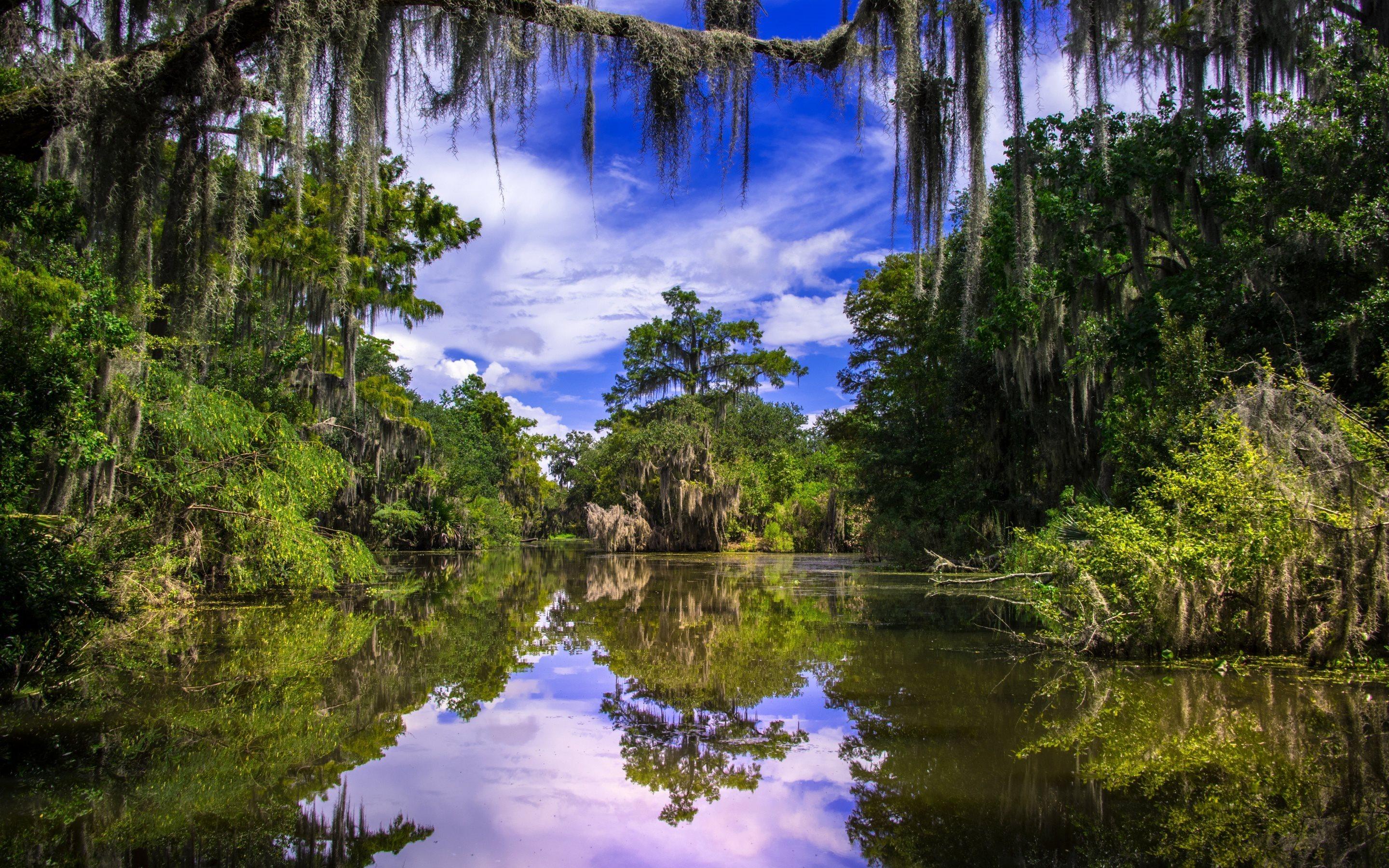 Louisiana Swamp Wallpapers - Top Free Louisiana Swamp Backgrounds ...