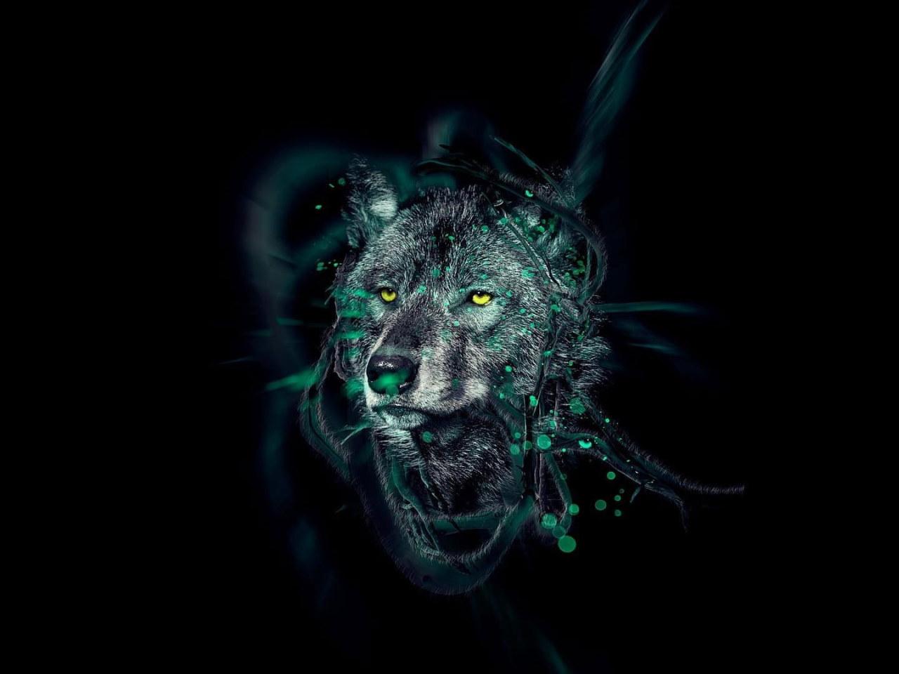 Red Wolf HD Wallpapers - Top Free Red Wolf HD Backgrounds - WallpaperAccess