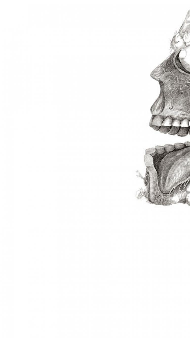 Anatomy Phone Wallpapers - Top Free Anatomy Phone Backgrounds ...