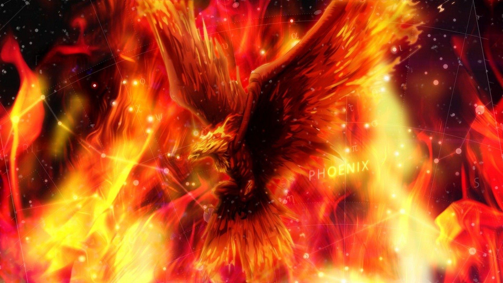 Cute Phoenix Wallpapers - Top Free Cute Phoenix Backgrounds ...