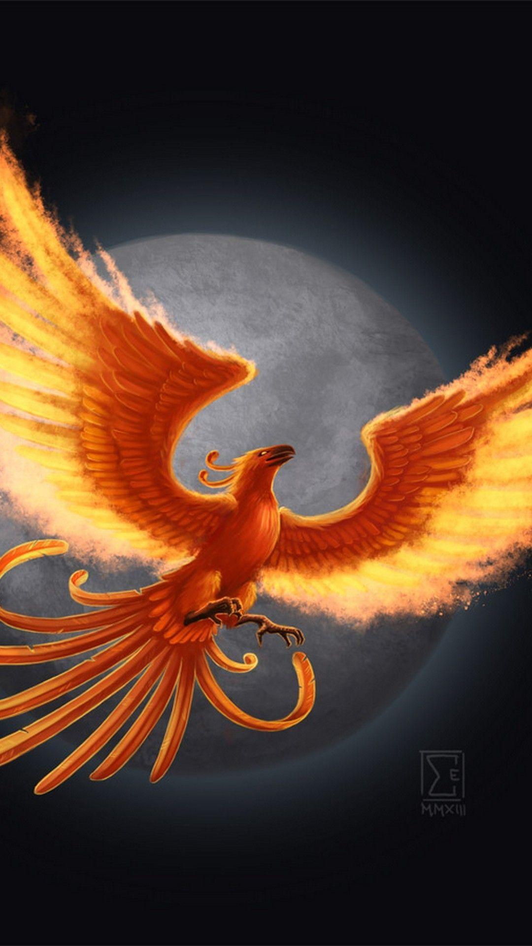 Cute Phoenix Wallpapers - Top Free Cute Phoenix Backgrounds ...