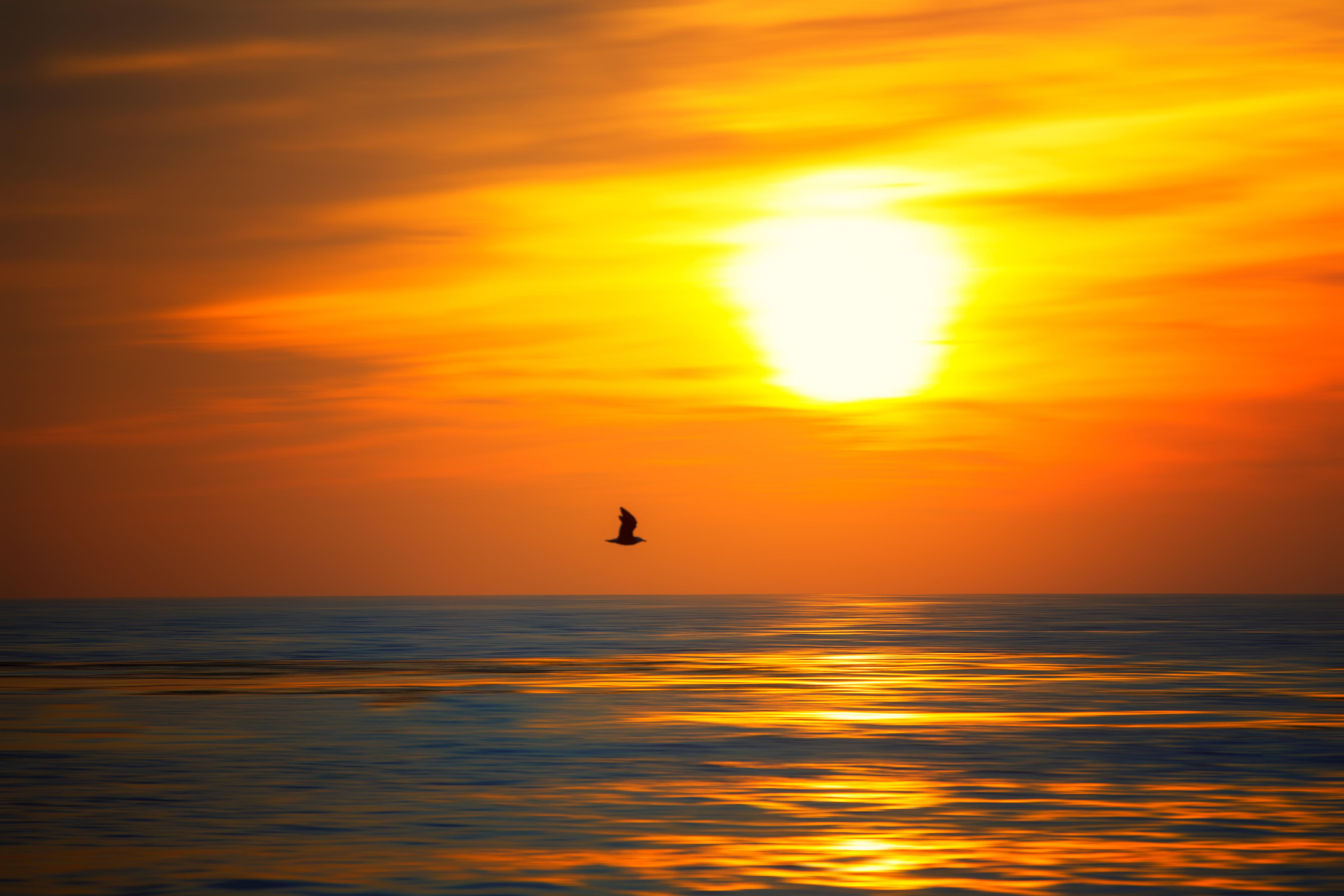 Before Sunset Wallpapers - Top Free Before Sunset Backgrounds ...