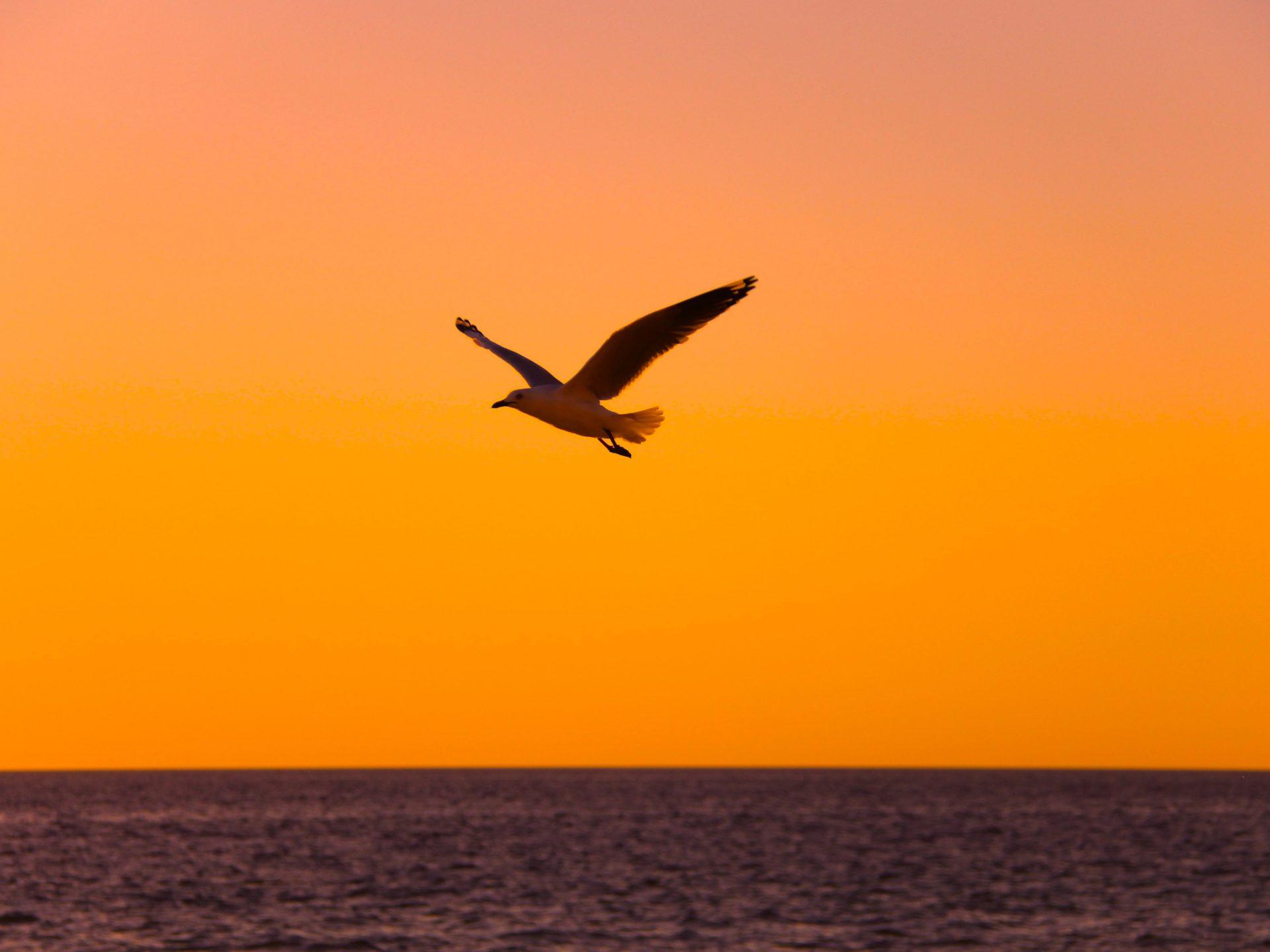 Before Sunset Wallpapers - Top Free Before Sunset Backgrounds ...