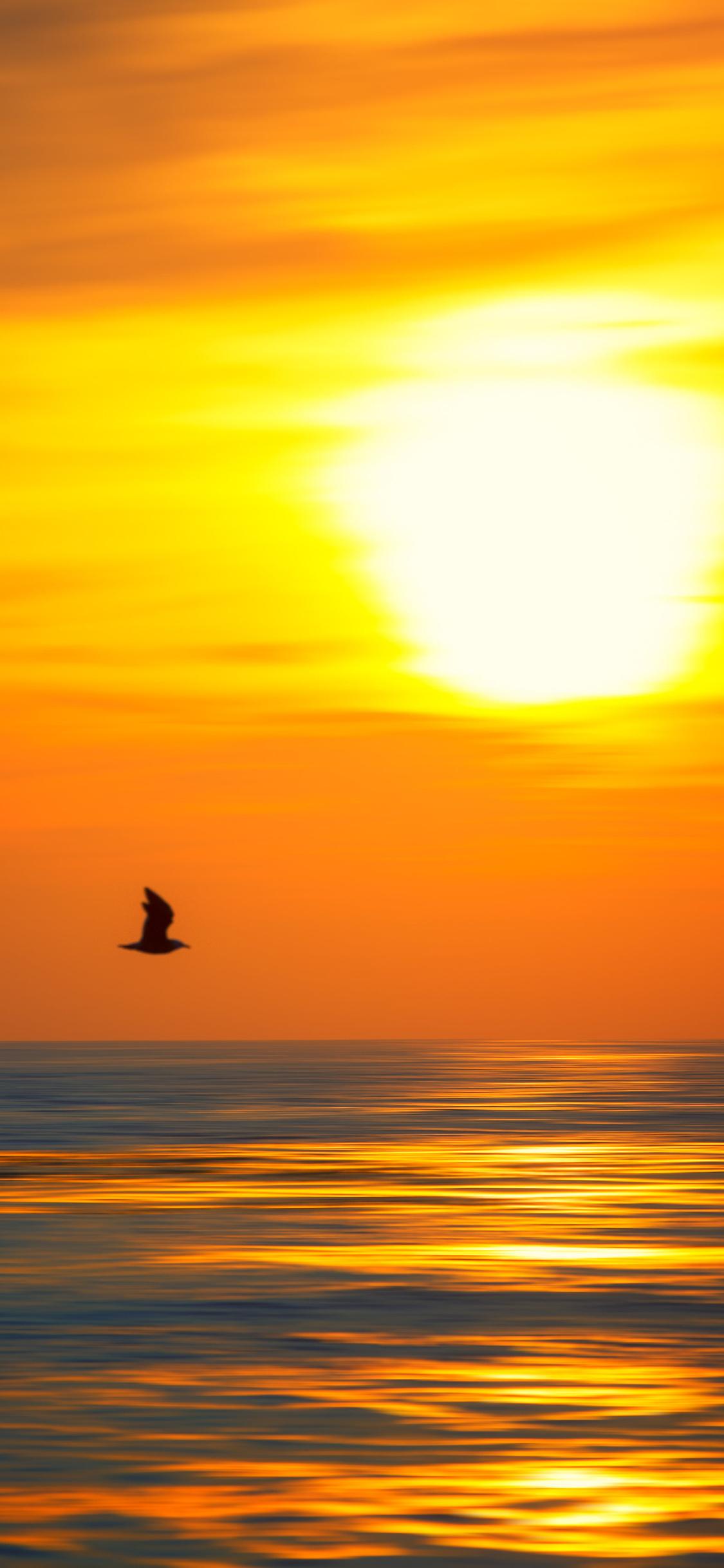 Before Sunset Wallpapers - Top Free Before Sunset Backgrounds ...