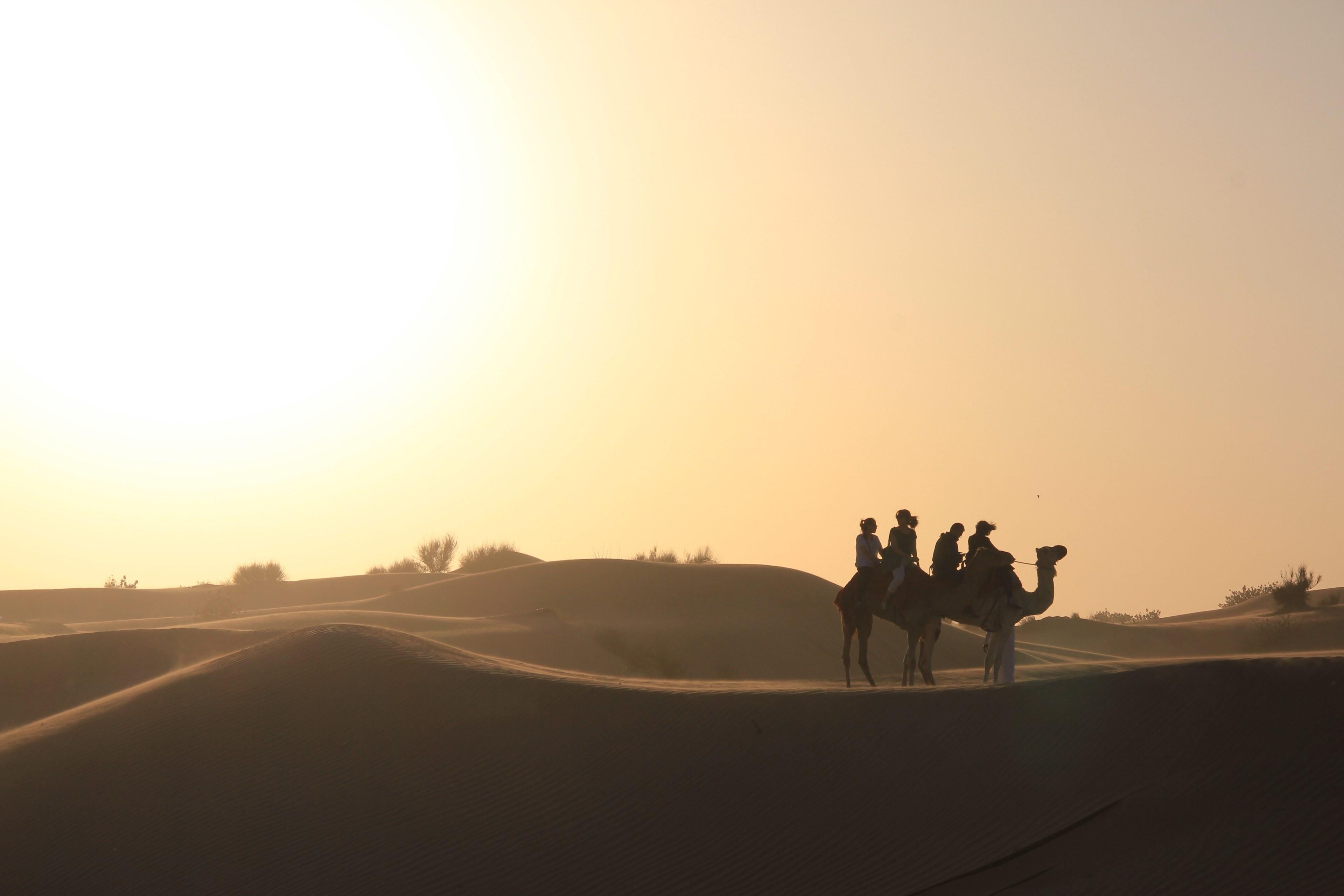 Before Sunset Wallpapers - Top Free Before Sunset Backgrounds ...