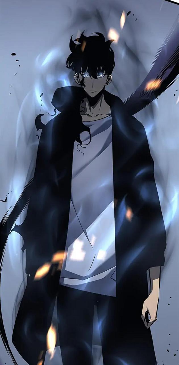 Shadow Monarch Wallpapers - Top Free Shadow Monarch Backgrounds ...