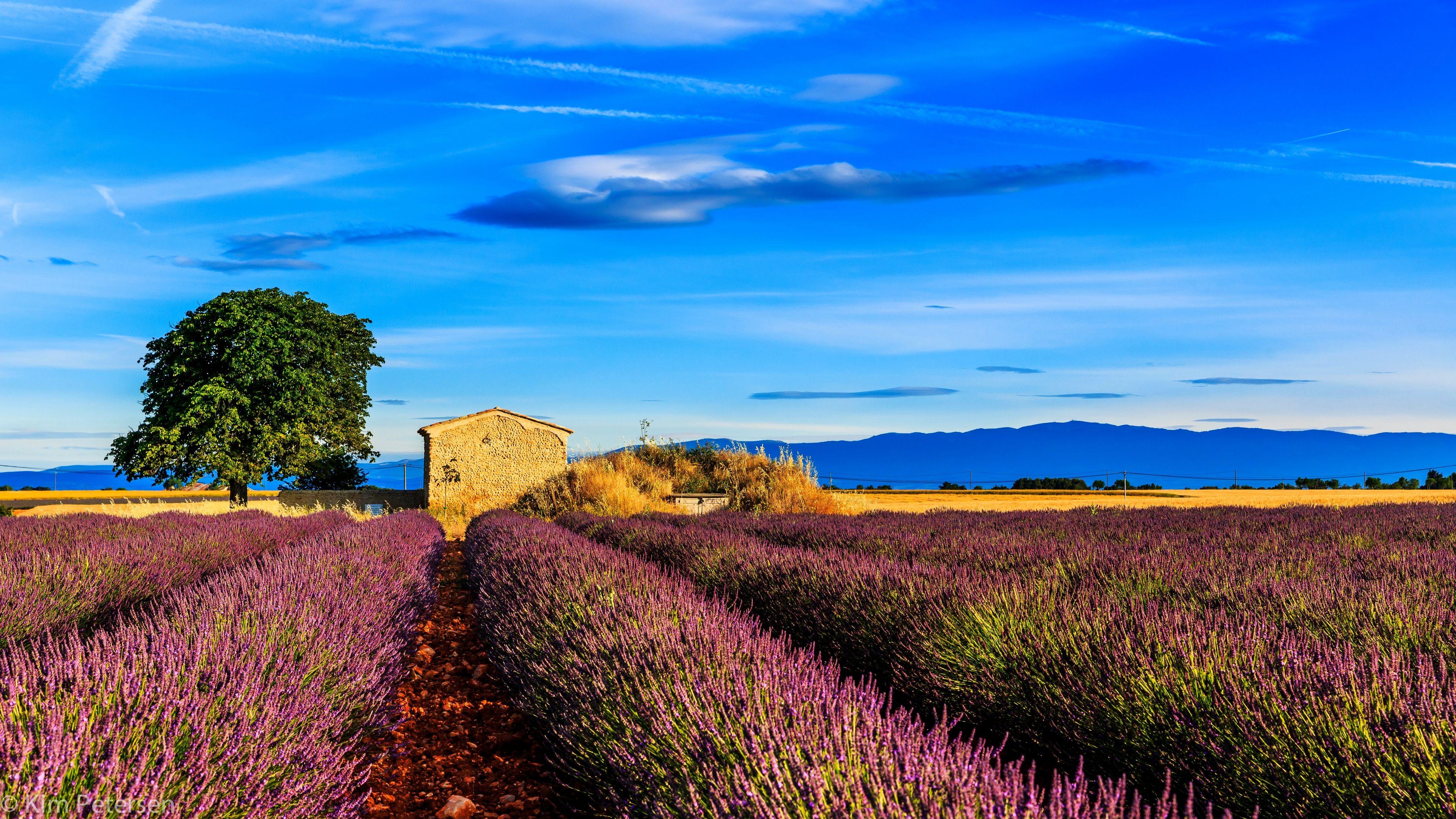 France 4k Wallpapers - Top Free France 4k Backgrounds - WallpaperAccess