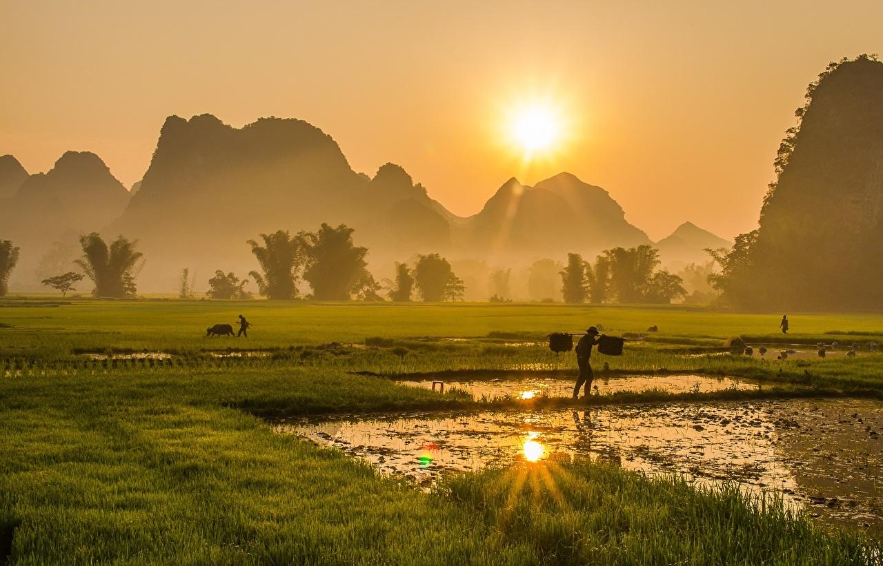 Asian Nature Wallpapers - Top Free Asian Nature Backgrounds ...