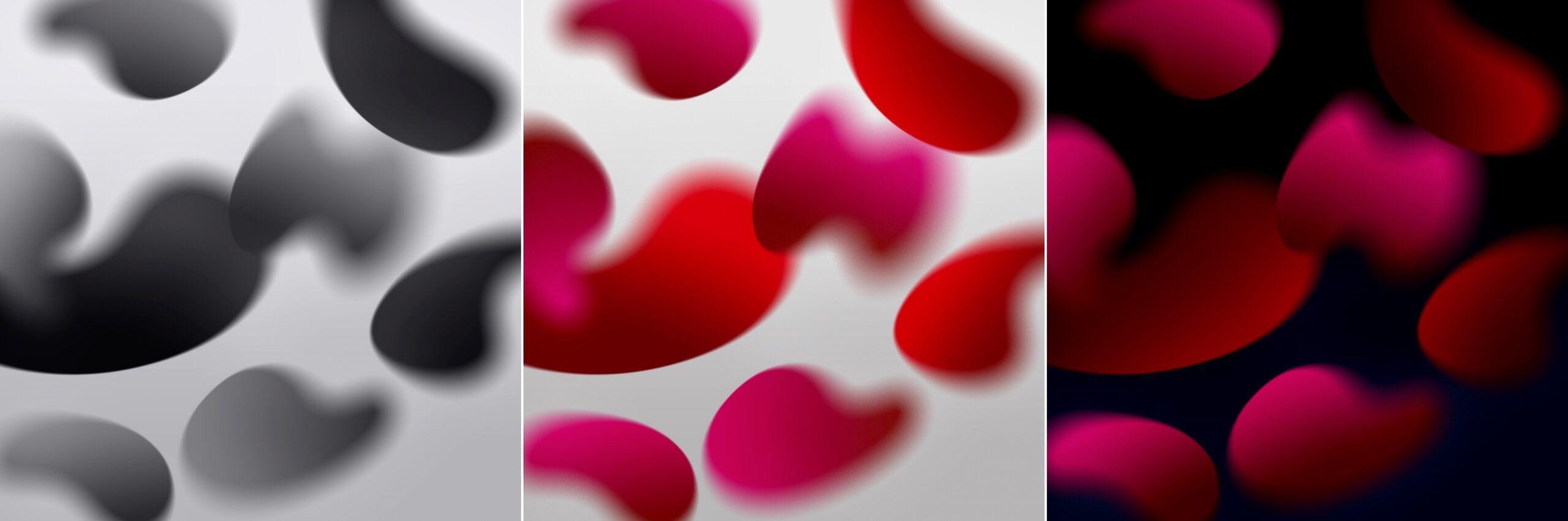 iPad OS 15 Wallpapers - Top Free iPad OS 15 Backgrounds - WallpaperAccess