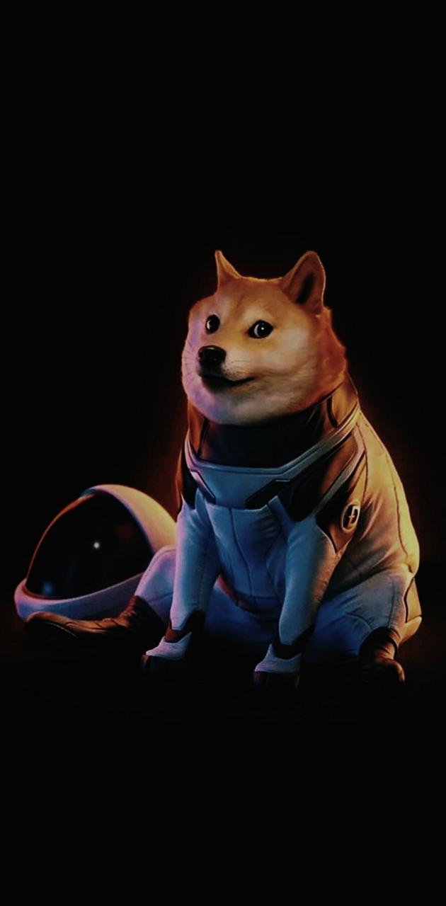 Samurai Doge Wallpapers - Top Free Samurai Doge Backgrounds ...