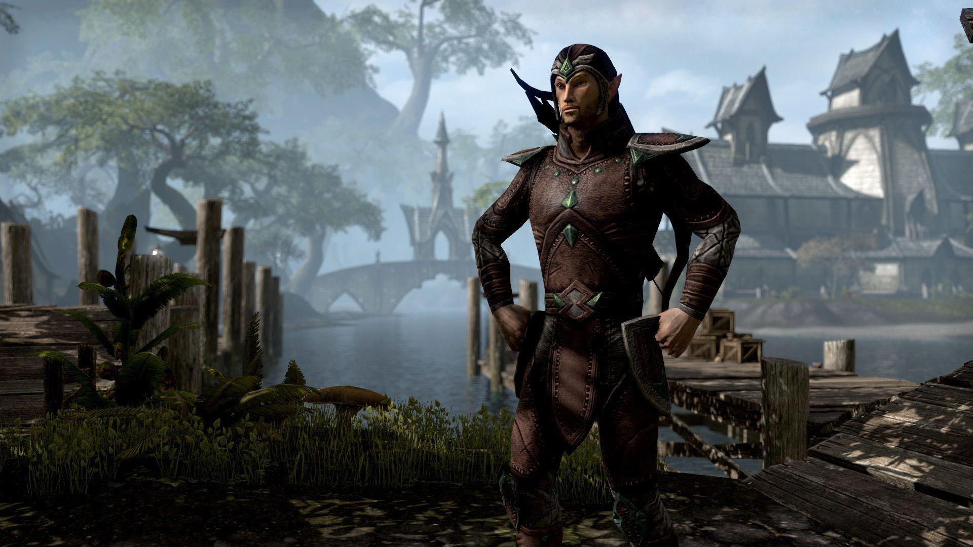 Skyrim Wood Elf Wallpapers - Top Free Skyrim Wood Elf Backgrounds ...