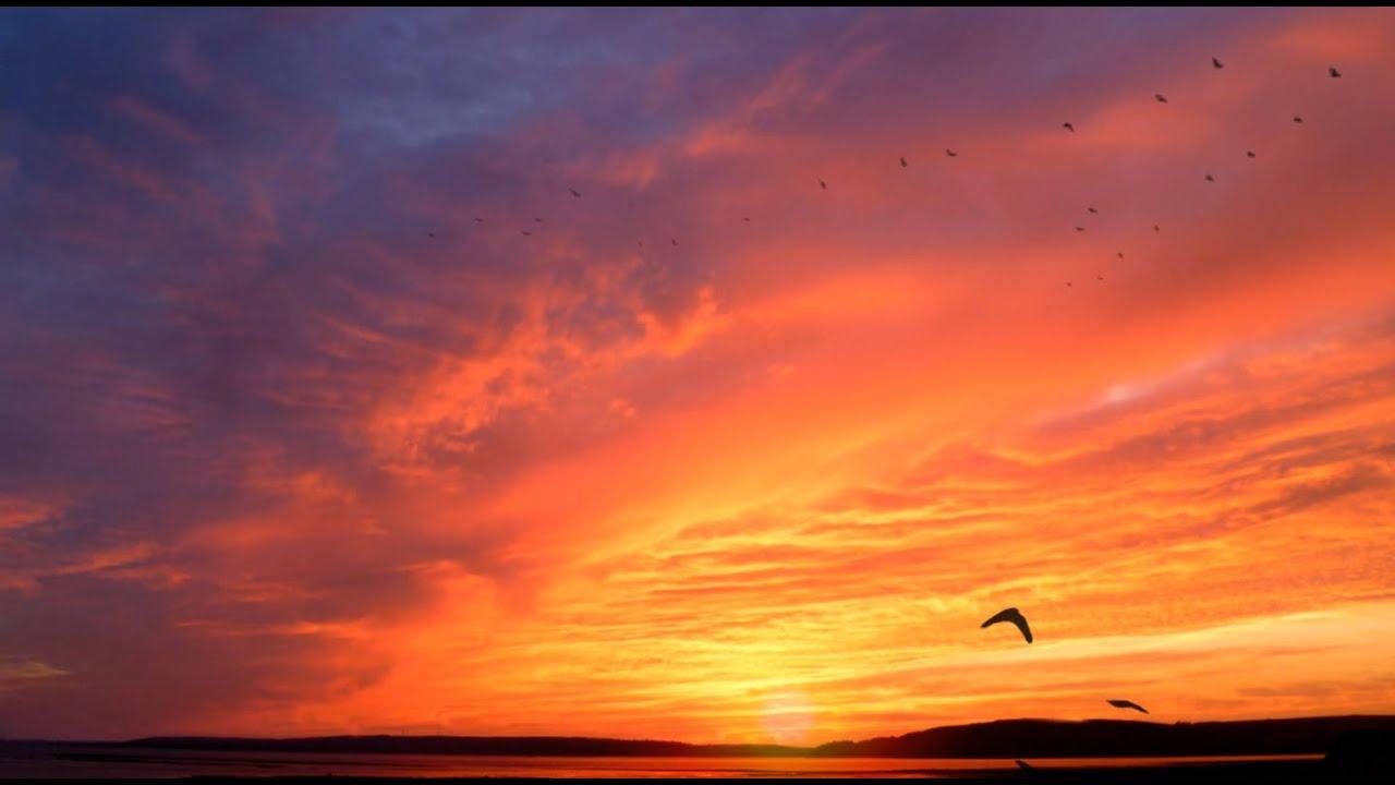 Orange Sunrise Wallpapers - Top Free Orange Sunrise Backgrounds ...