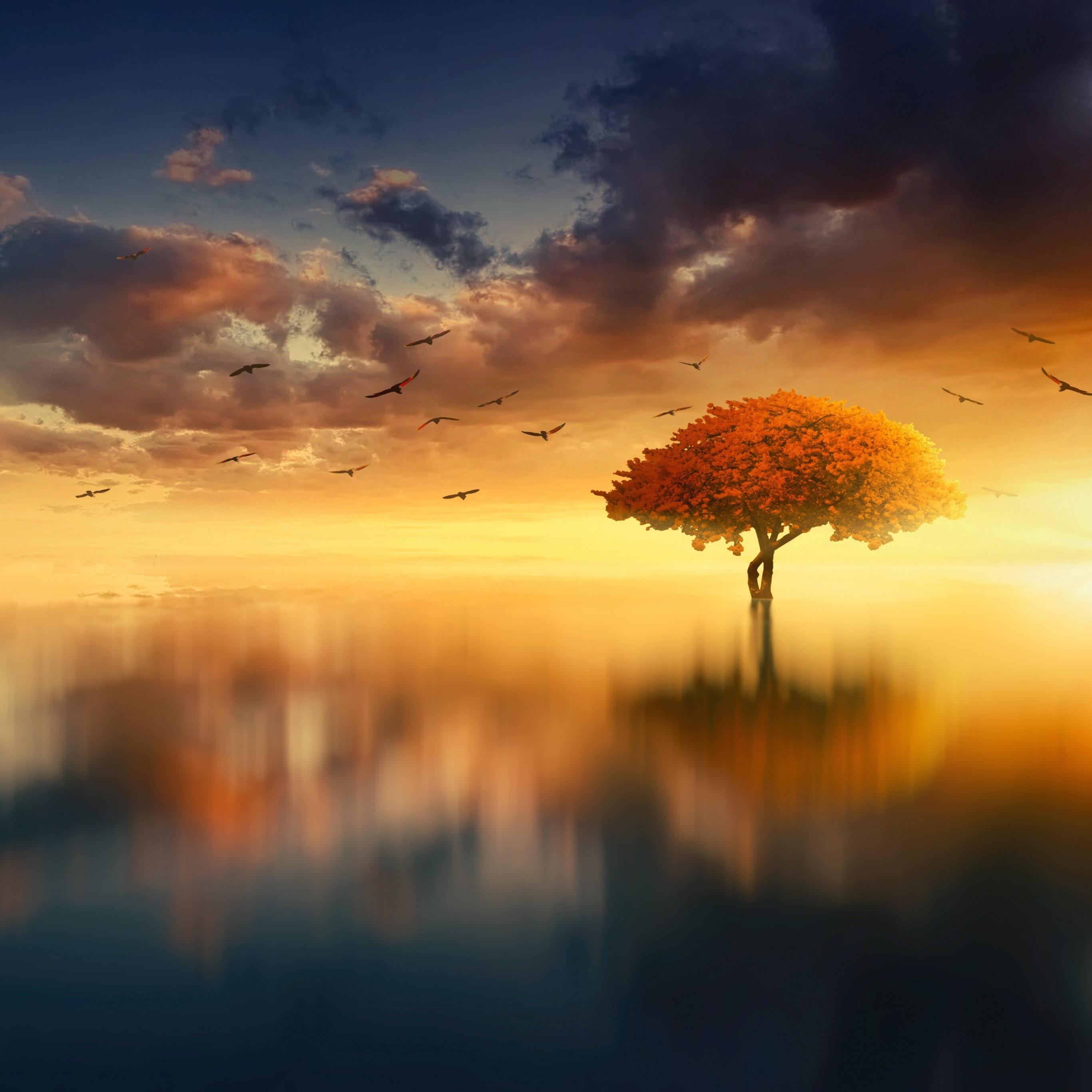 Orange Sunrise Wallpapers - Top Free Orange Sunrise Backgrounds ...