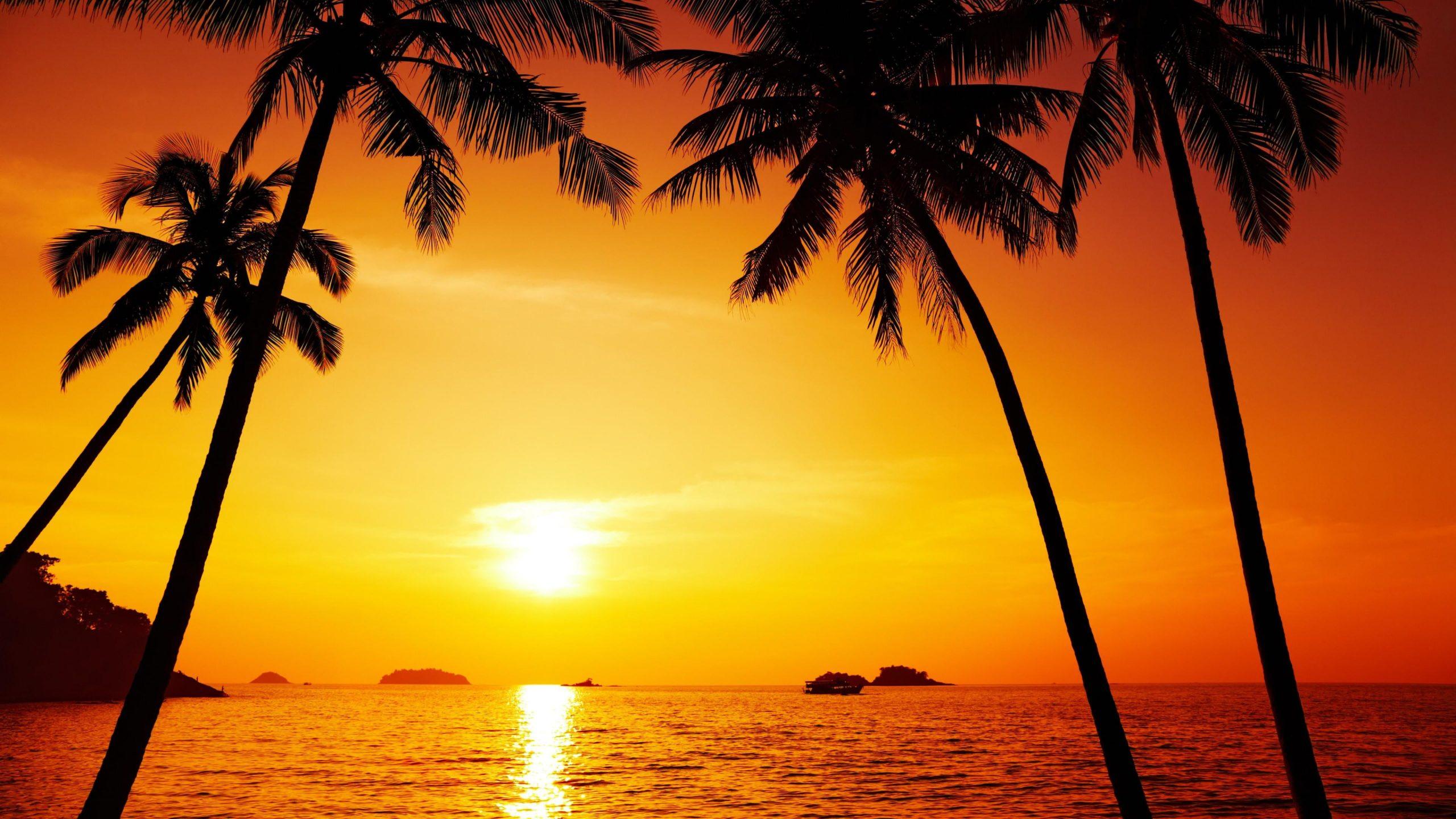 Orange Sunrise Wallpapers - Top Free Orange Sunrise Backgrounds ...