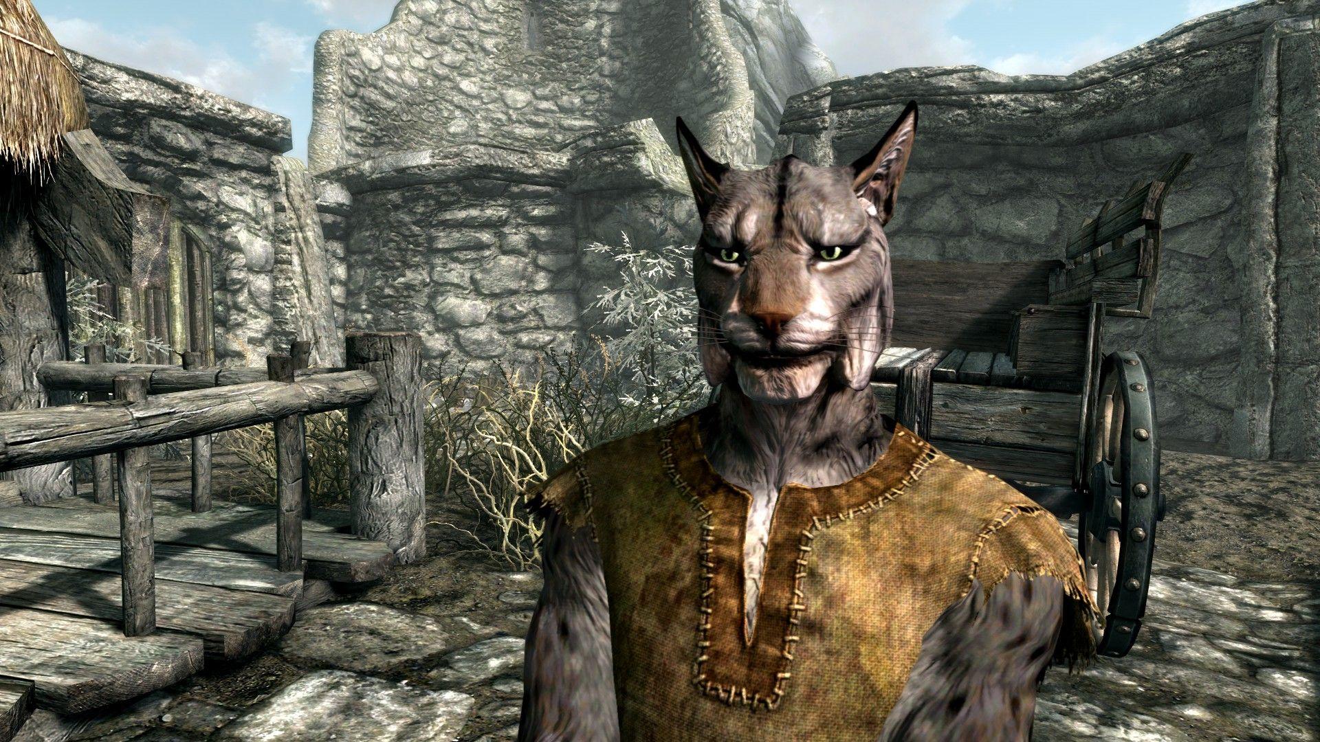 Skyrim Wood Elf Wallpapers Top Free Skyrim Wood Elf Backgrounds