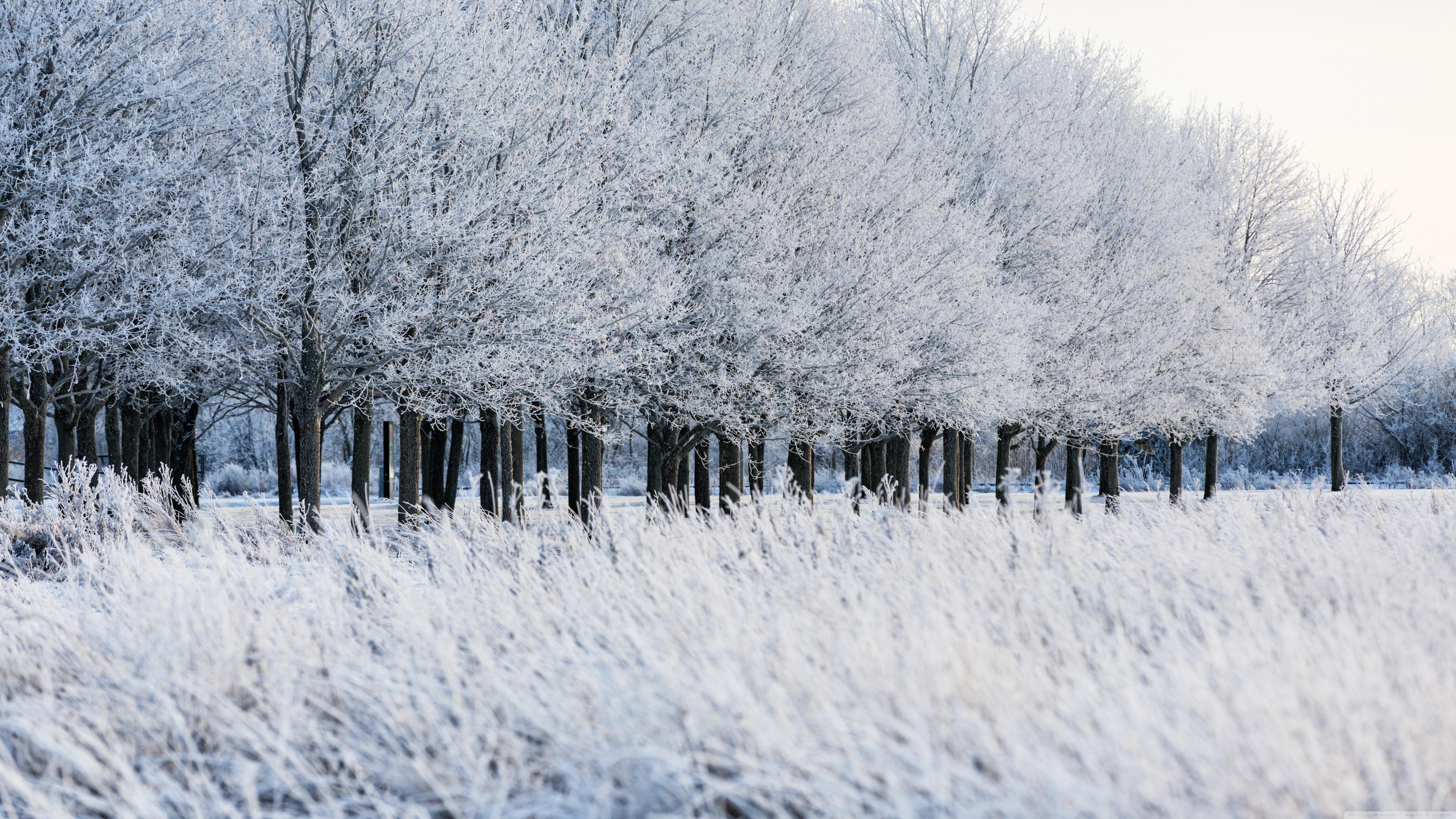 Frozen Land Wallpapers - Top Free Frozen Land Backgrounds - WallpaperAccess