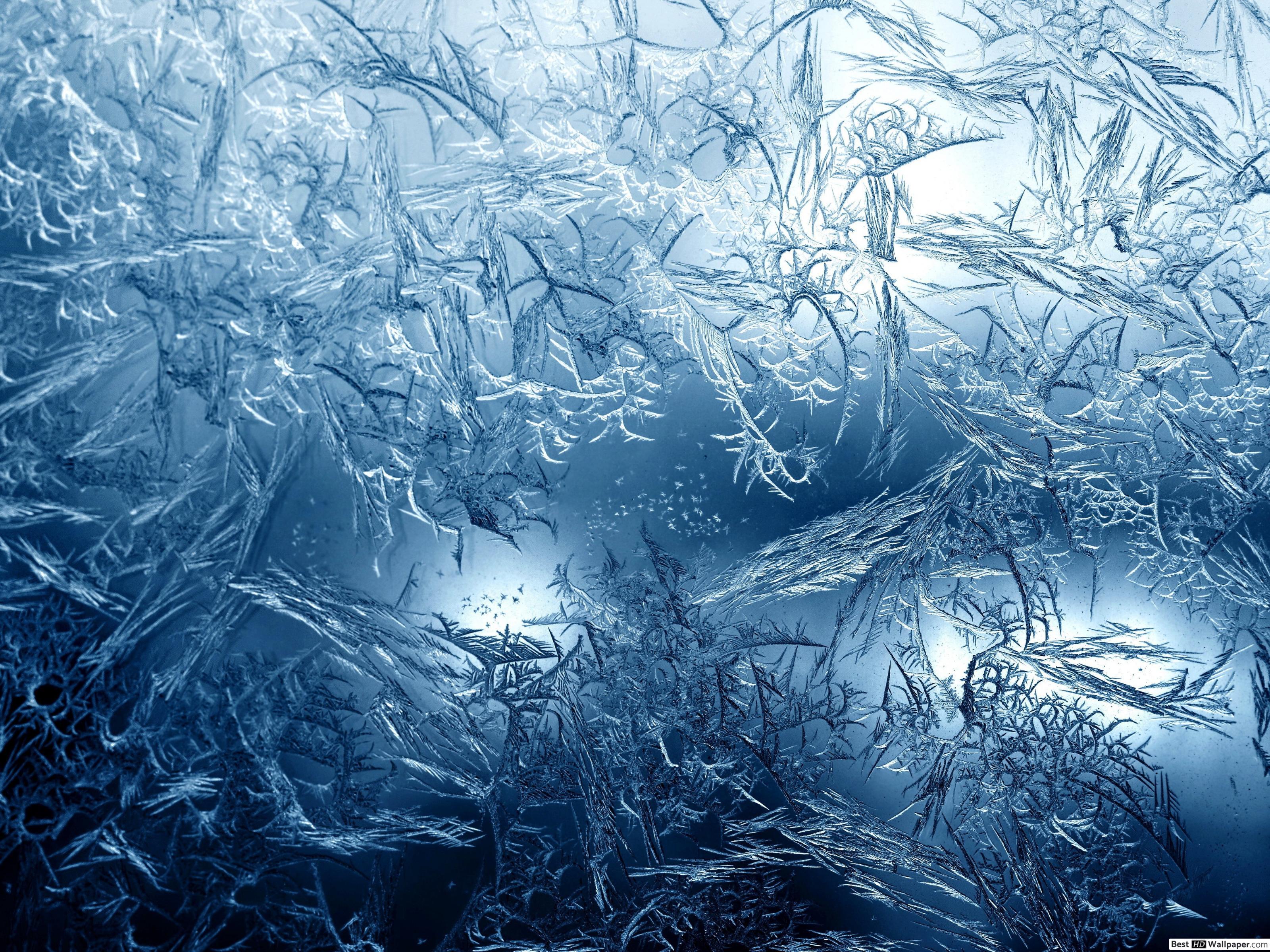 Frozen Land Wallpapers - Top Free Frozen Land Backgrounds - WallpaperAccess