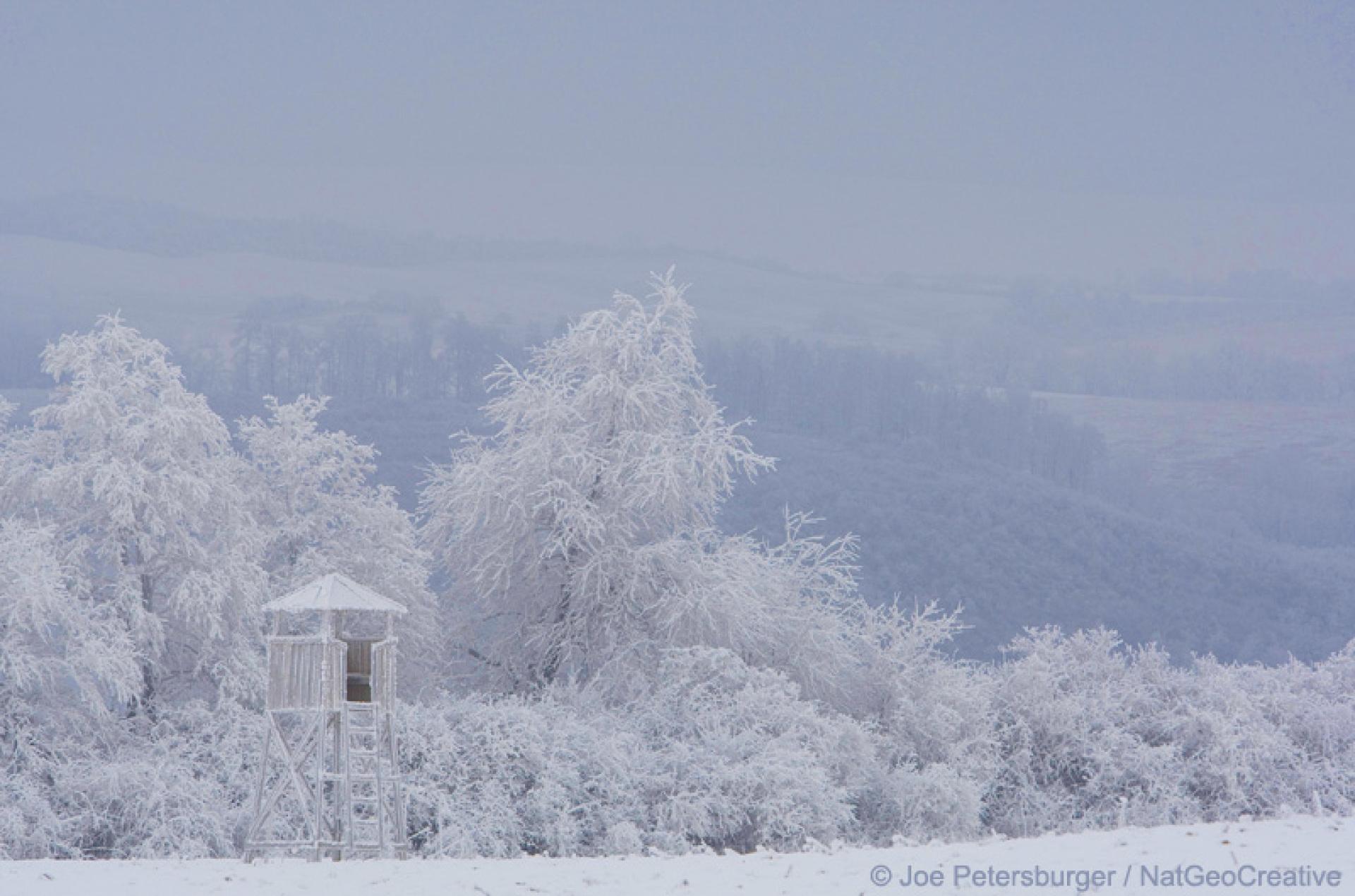 Frozen Land Wallpapers - Top Free Frozen Land Backgrounds - WallpaperAccess