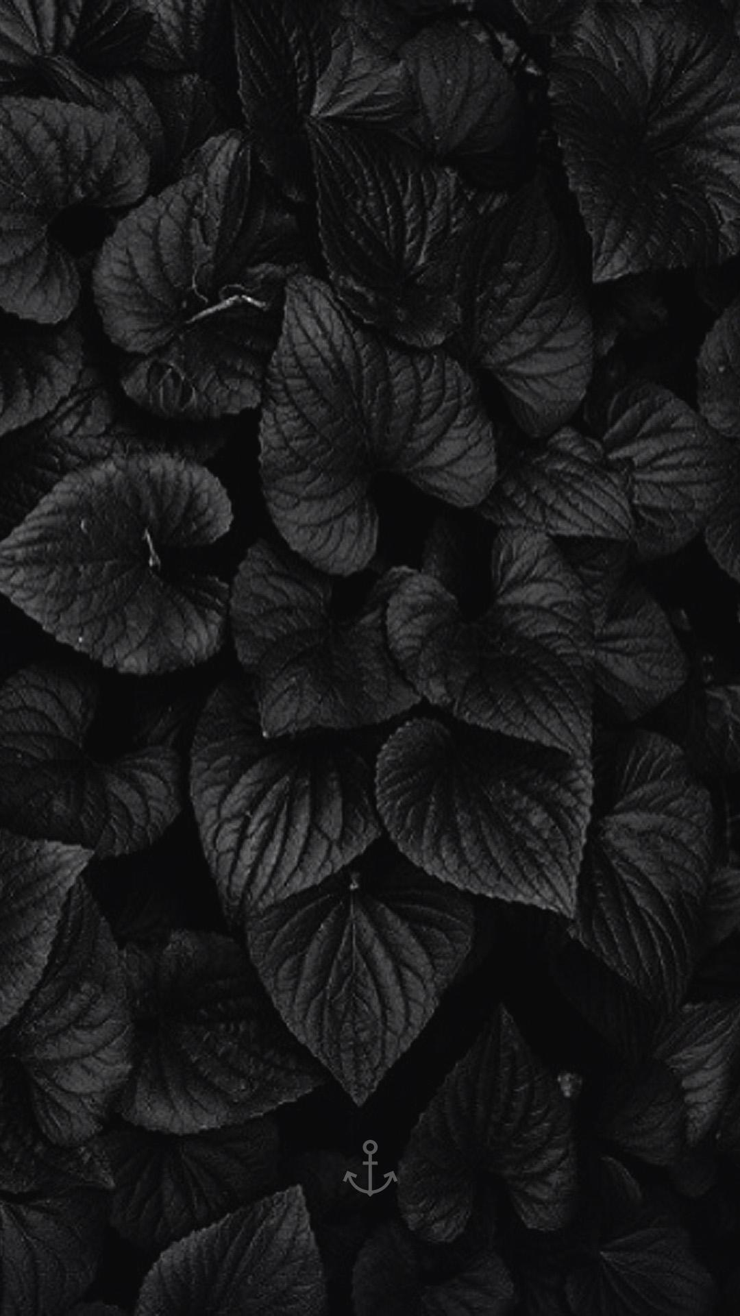 BLVCK Wallpapers - Top Free BLVCK Backgrounds - WallpaperAccess