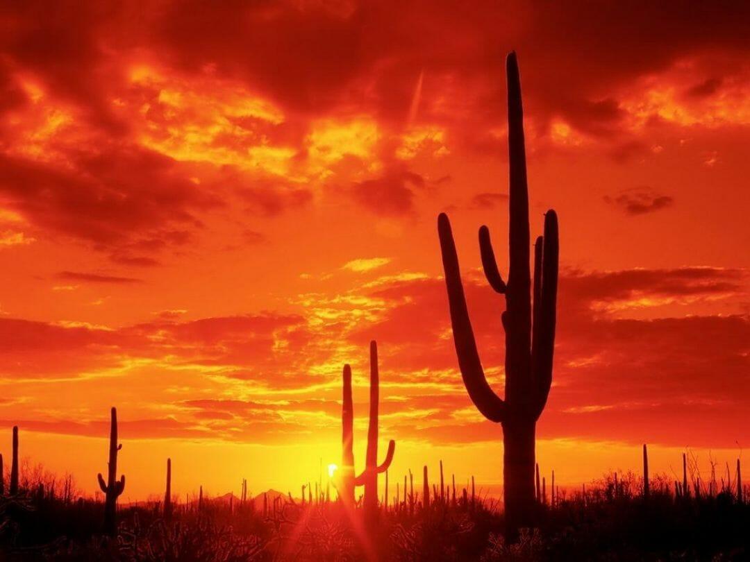 Arizona Desert Landscape Wallpapers - Top Free Arizona Desert Landscape ...