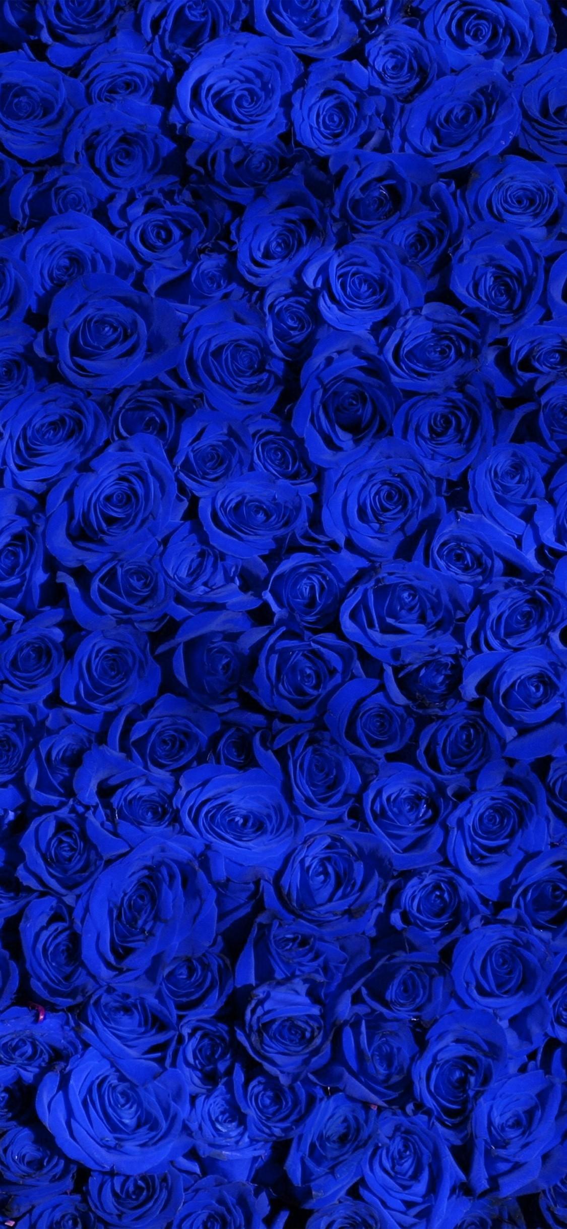 Mobile Blue Wallpapers - Top Free Mobile Blue Backgrounds - WallpaperAccess