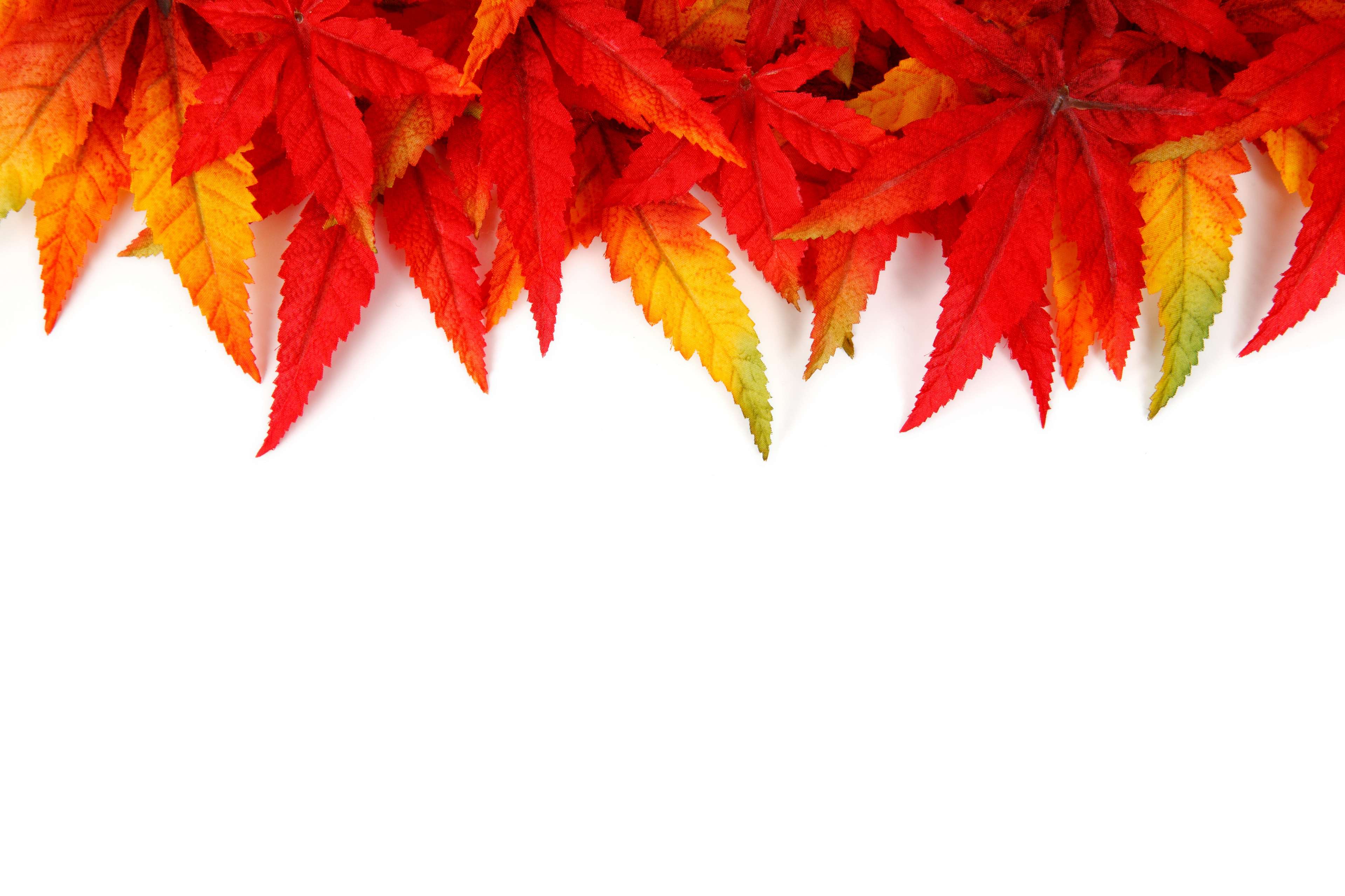Abstract Autumn Wallpapers - Top Free Abstract Autumn Backgrounds ...