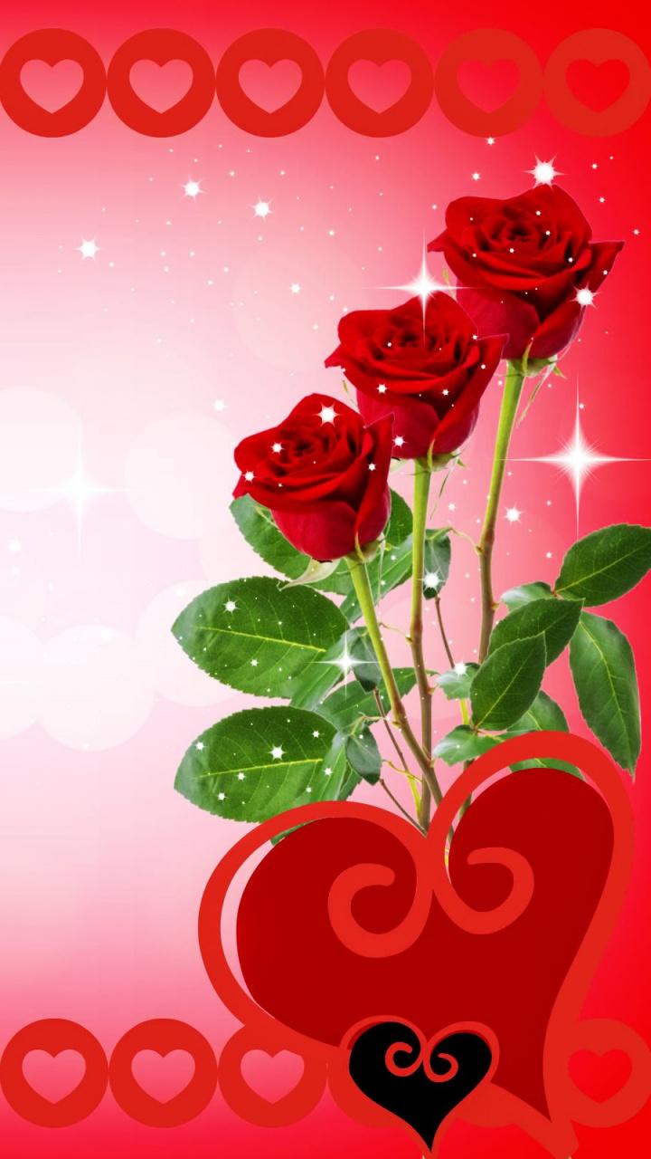 Heart Rose Wallpapers - Top Free Heart Rose Backgrounds - WallpaperAccess