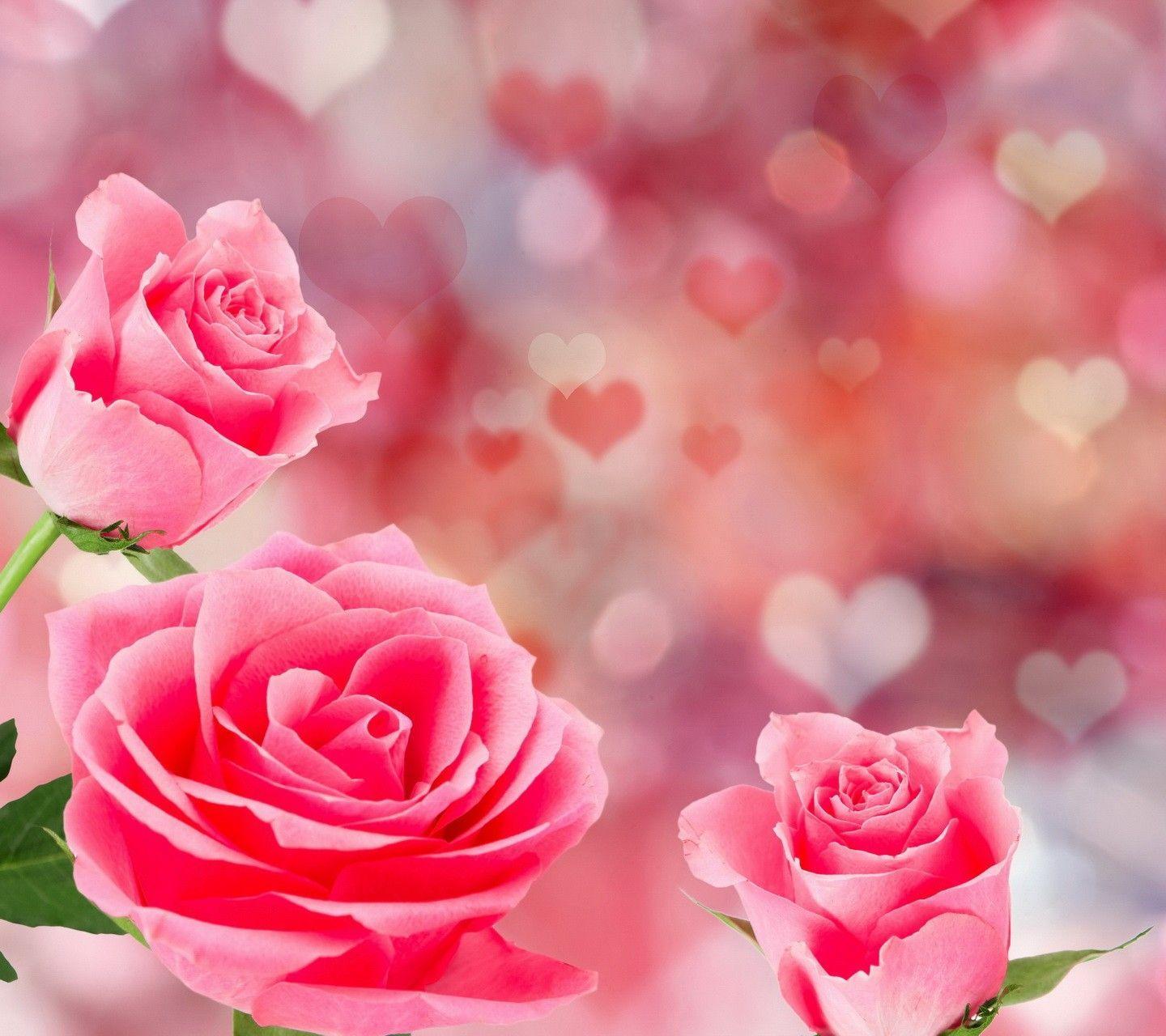 Heart Rose Wallpapers - Top Free Heart Rose Backgrounds - WallpaperAccess