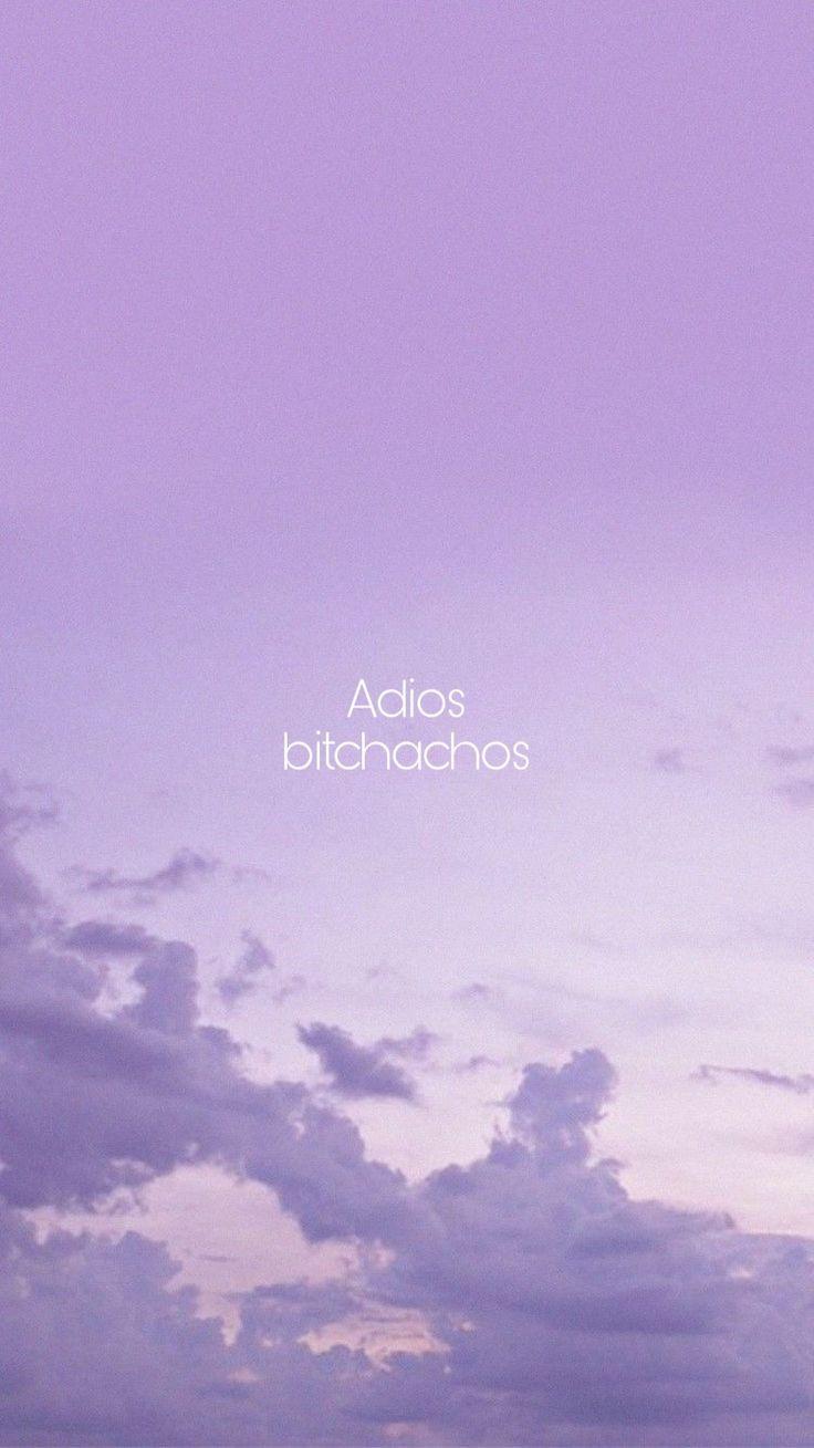 Violet Cute Wallpapers - Top Free Violet Cute Backgrounds - WallpaperAccess