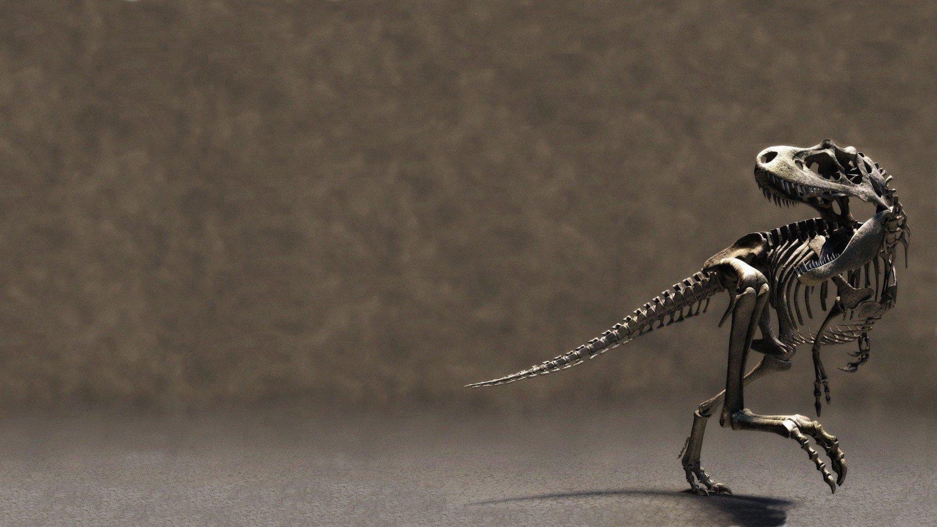 Carnotaurus Wallpapers - Top Free Carnotaurus Backgrounds - WallpaperAccess