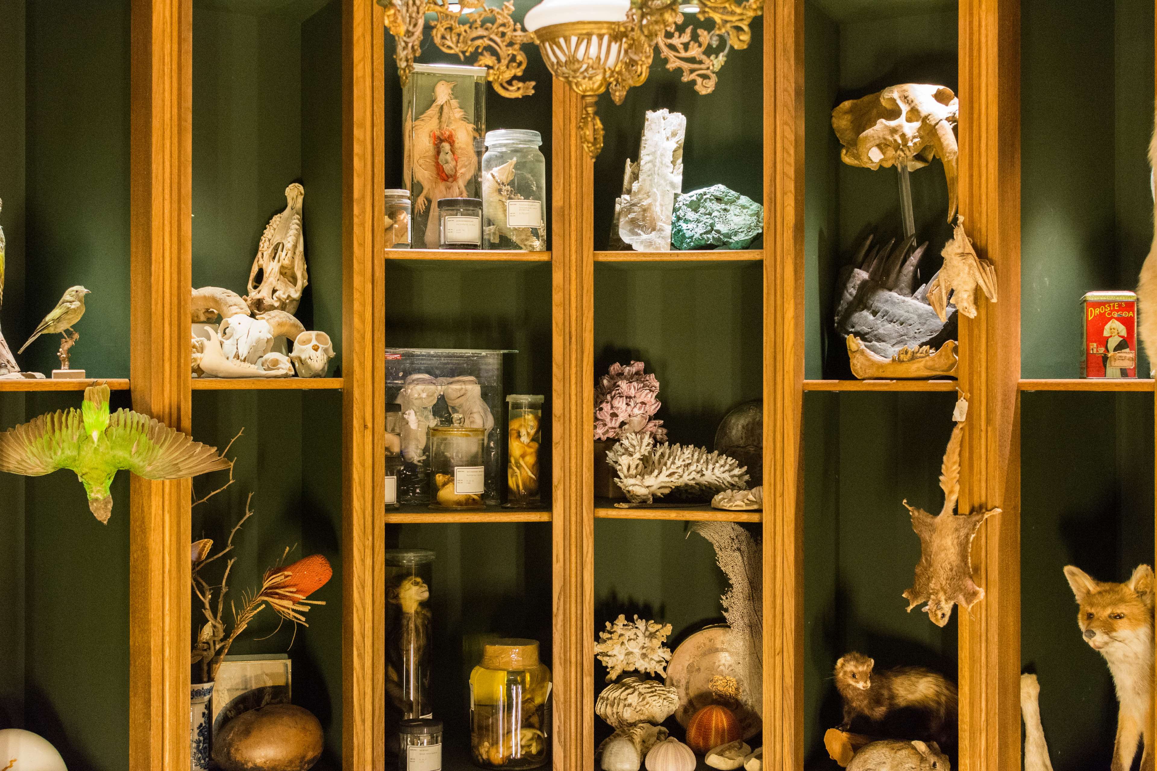 Biology Lab Wallpapers - Top Free Biology Lab Backgrounds - WallpaperAccess