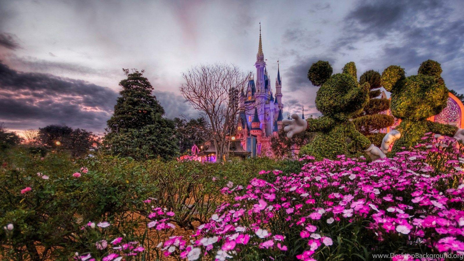 Disney World Landscape Desktop Wallpapers - Top Free Disney World ...