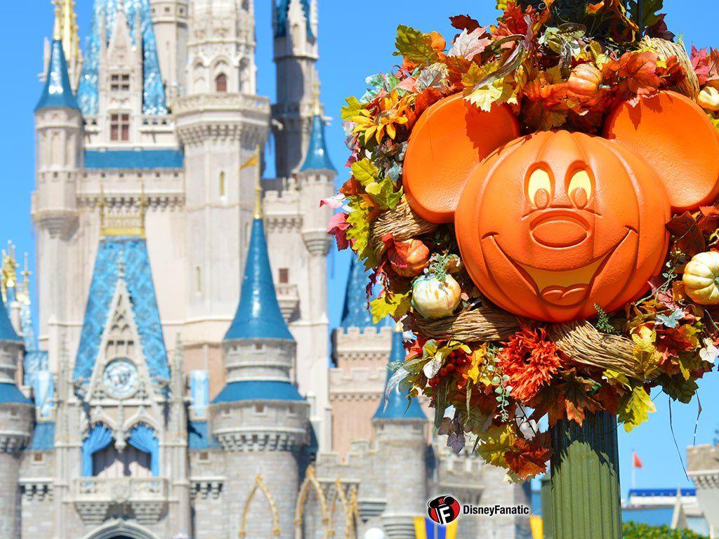 Disney Fall Wallpapers - Top Free Disney Fall Backgrounds - WallpaperAccess