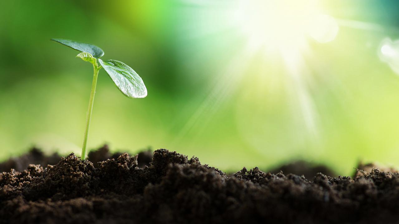 Fertilizer Wallpapers - Top Free Fertilizer Backgrounds - WallpaperAccess