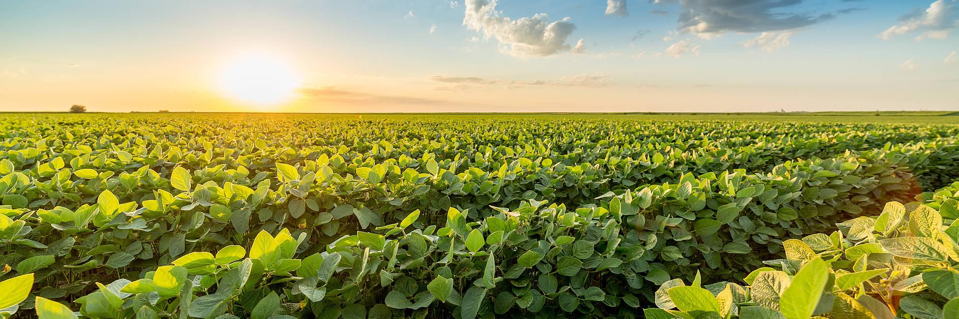 Fertilizer Wallpapers - Top Free Fertilizer Backgrounds - WallpaperAccess