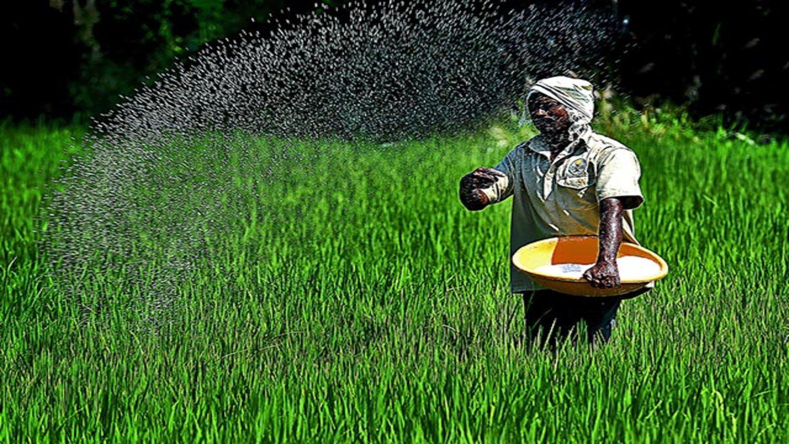 Fertilizer Wallpapers - Top Free Fertilizer Backgrounds - WallpaperAccess