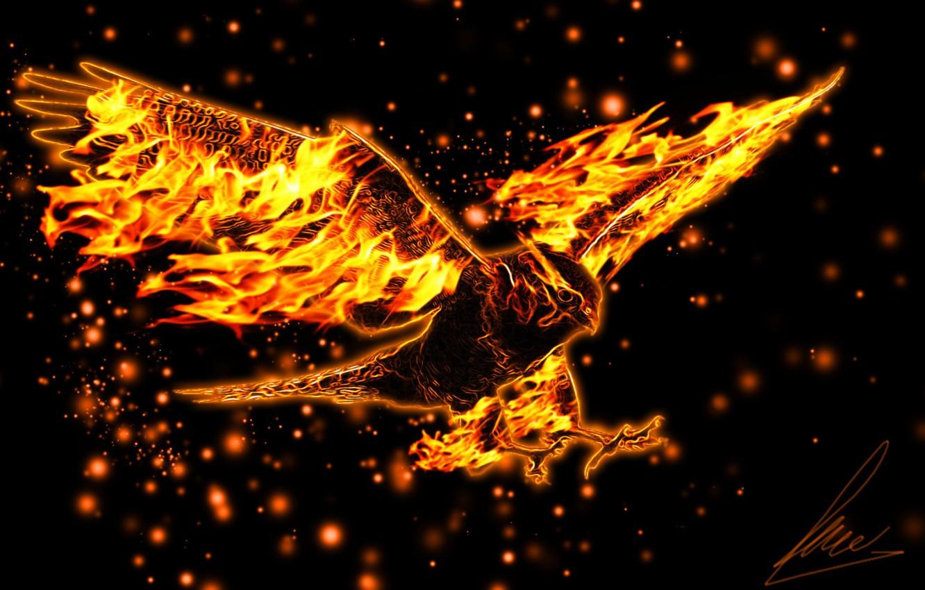 Fire Wings Wallpapers - Top Free Fire Wings Backgrounds - WallpaperAccess