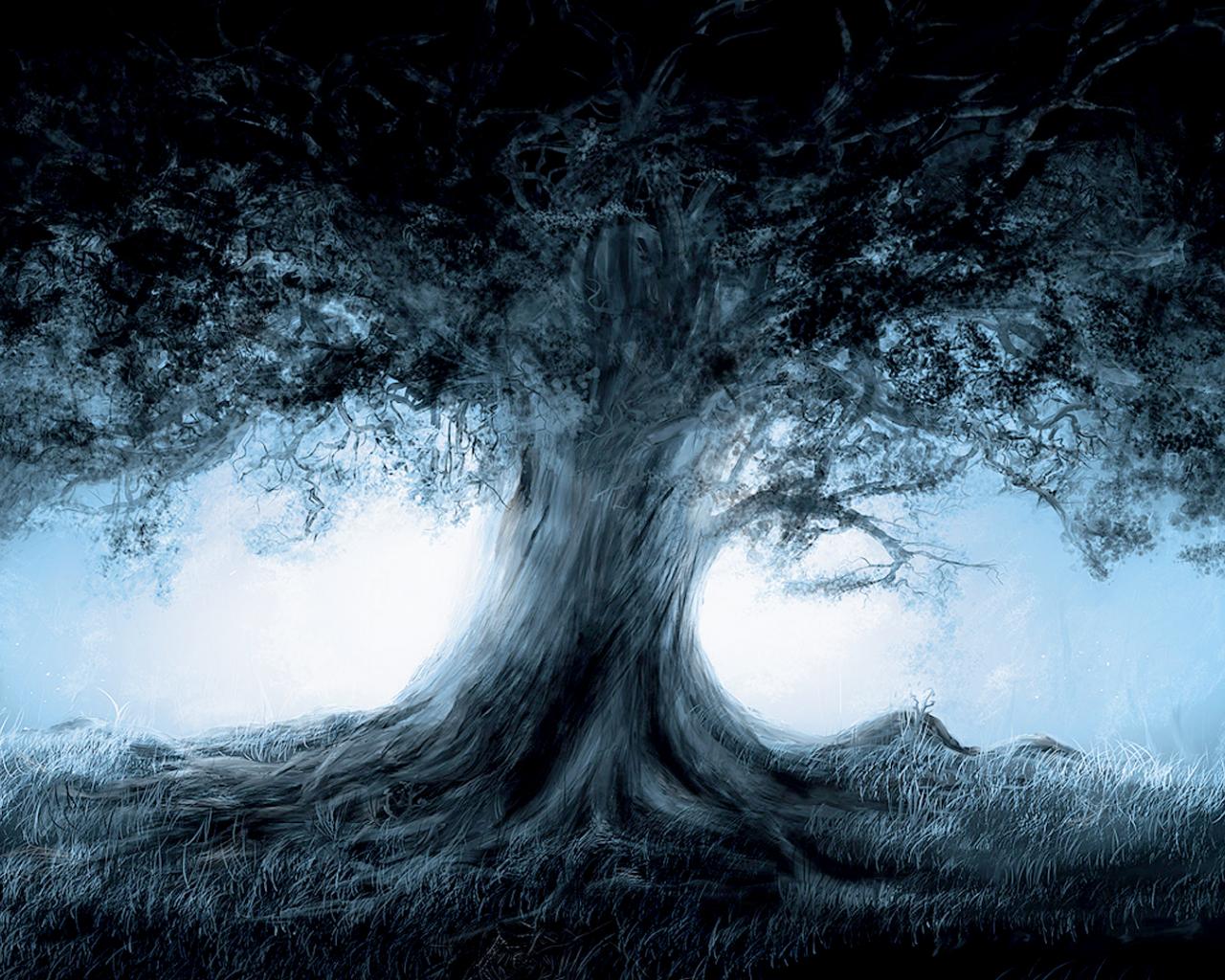 Magic Tree Wallpapers - Top Free Magic Tree Backgrounds - WallpaperAccess