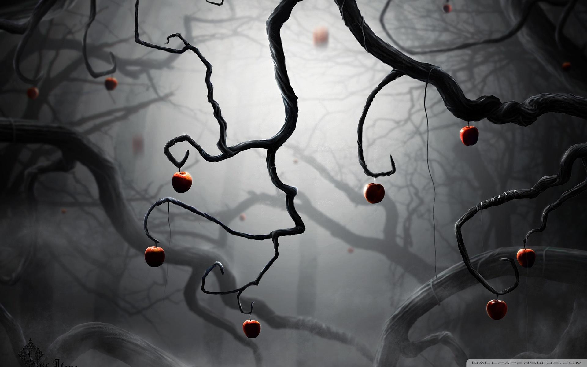 Magic Tree Wallpapers - Top Free Magic Tree Backgrounds - WallpaperAccess