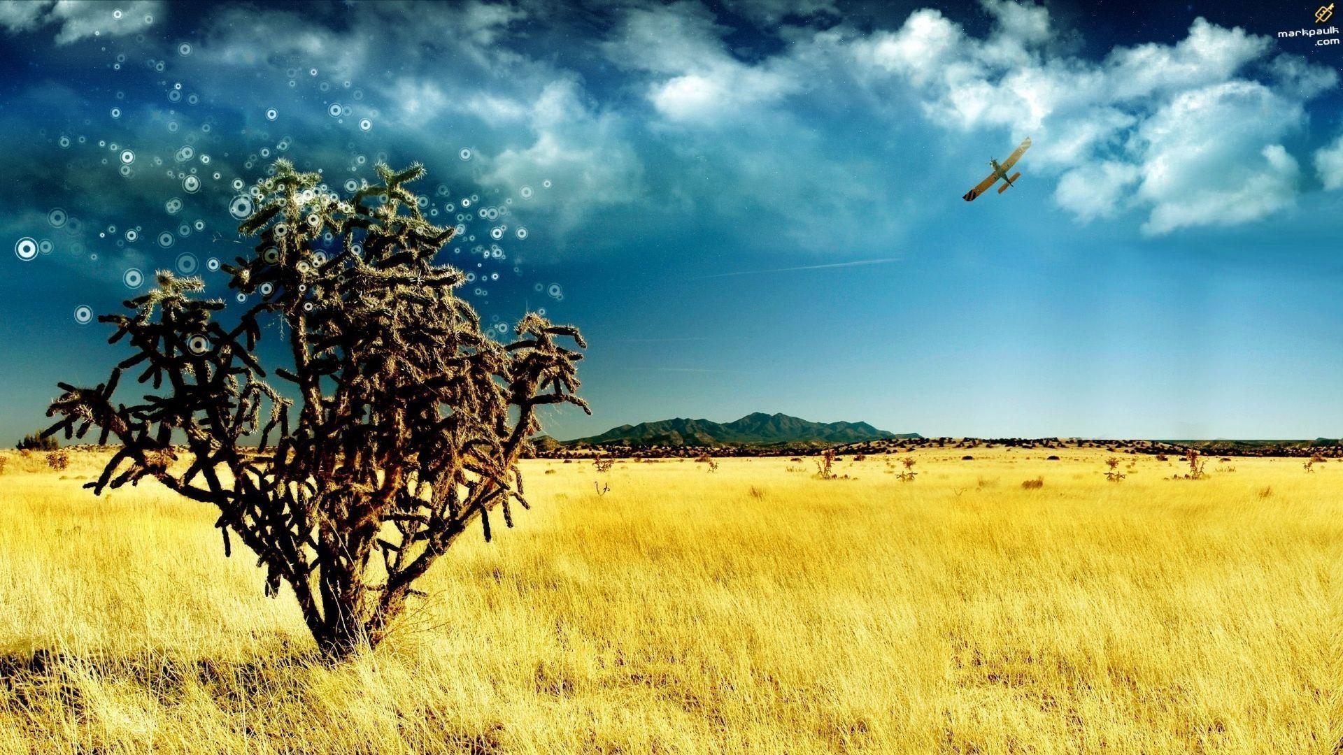 Magic Tree Wallpapers - Top Free Magic Tree Backgrounds - WallpaperAccess