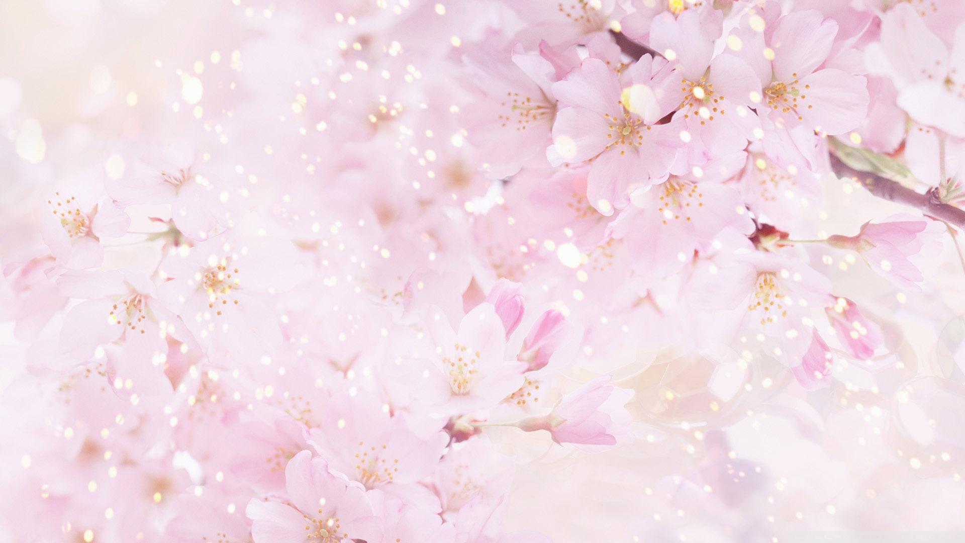 Magic Tree Wallpapers - Top Free Magic Tree Backgrounds - WallpaperAccess